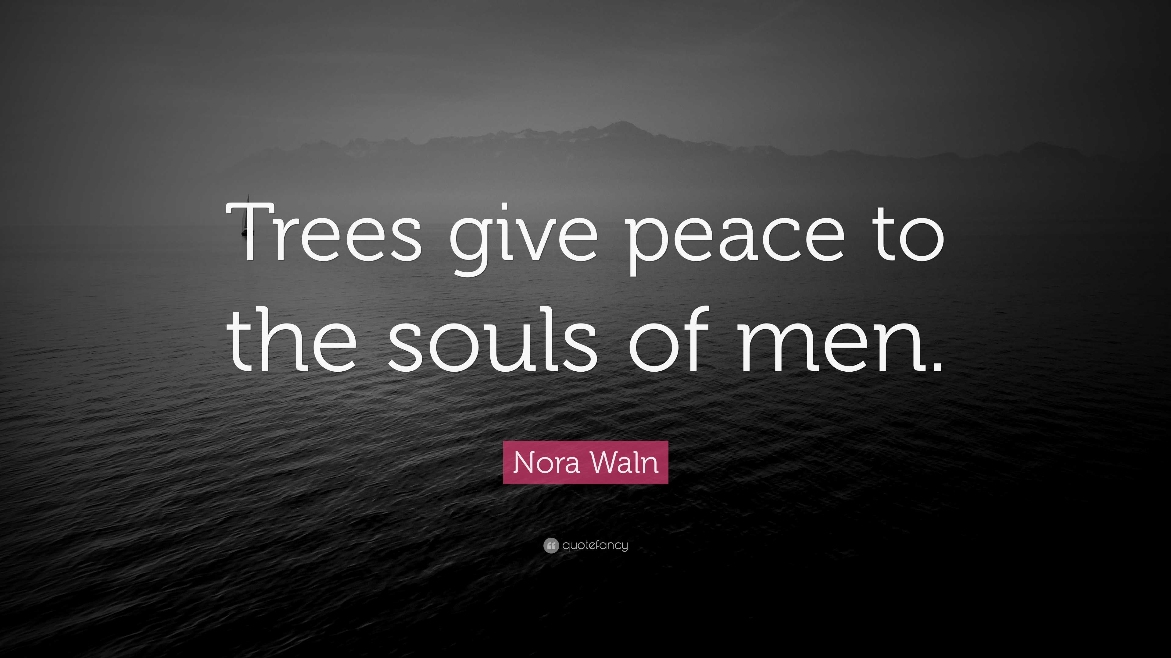 Nora Waln Quote: “Trees give peace to the souls of men.”
