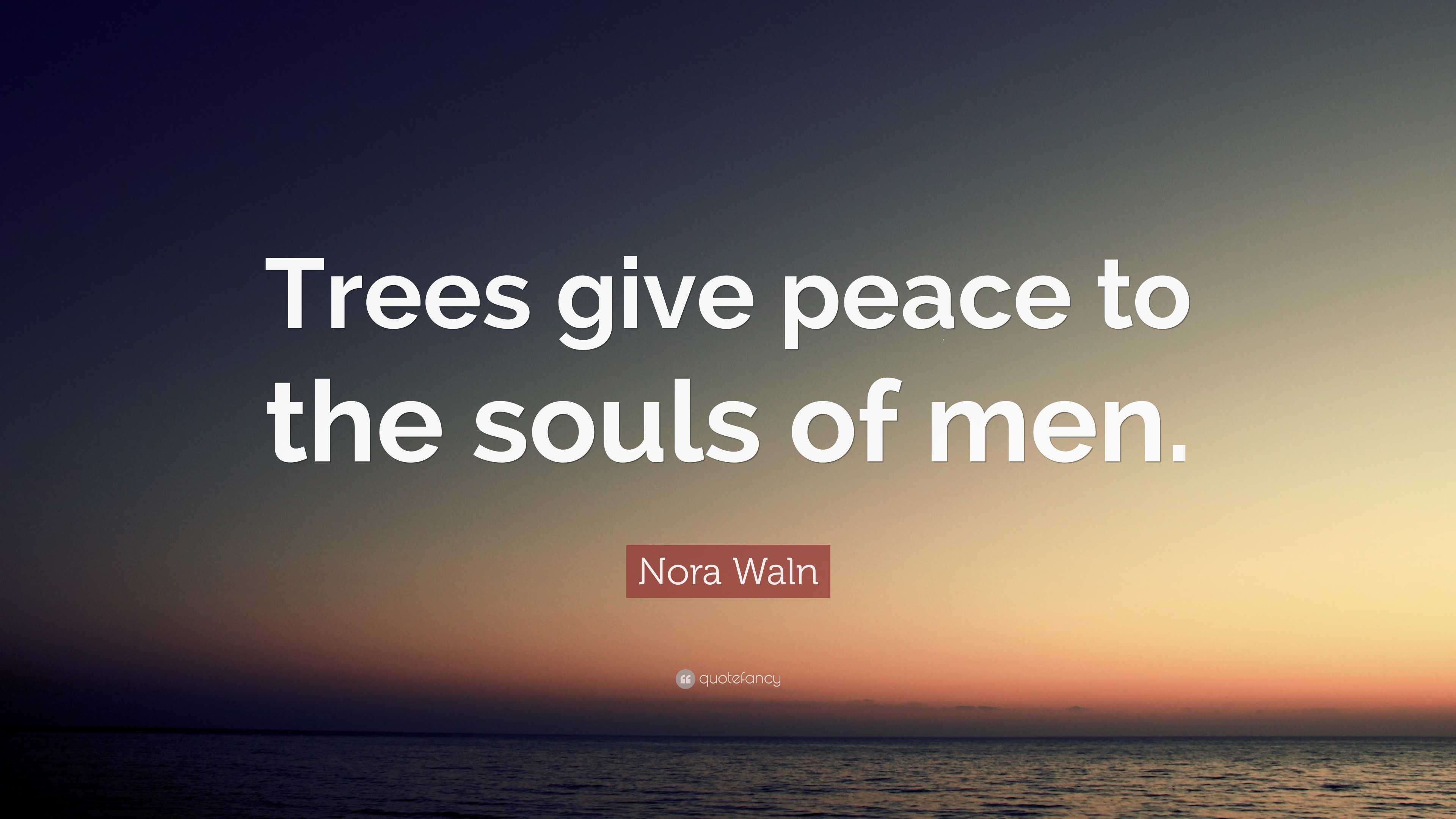 Nora Waln Quote: “Trees give peace to the souls of men.”