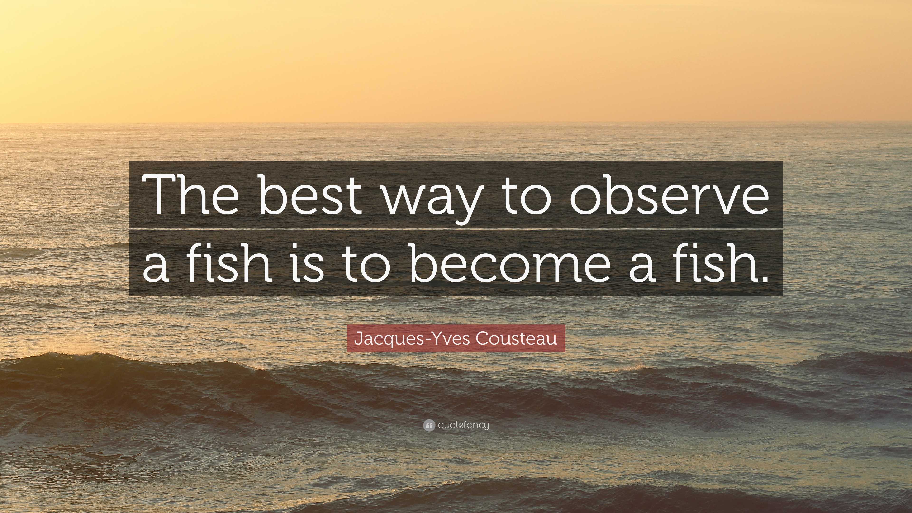 Jacques-Yves Cousteau Quote: “The best way to observe a fish is to ...
