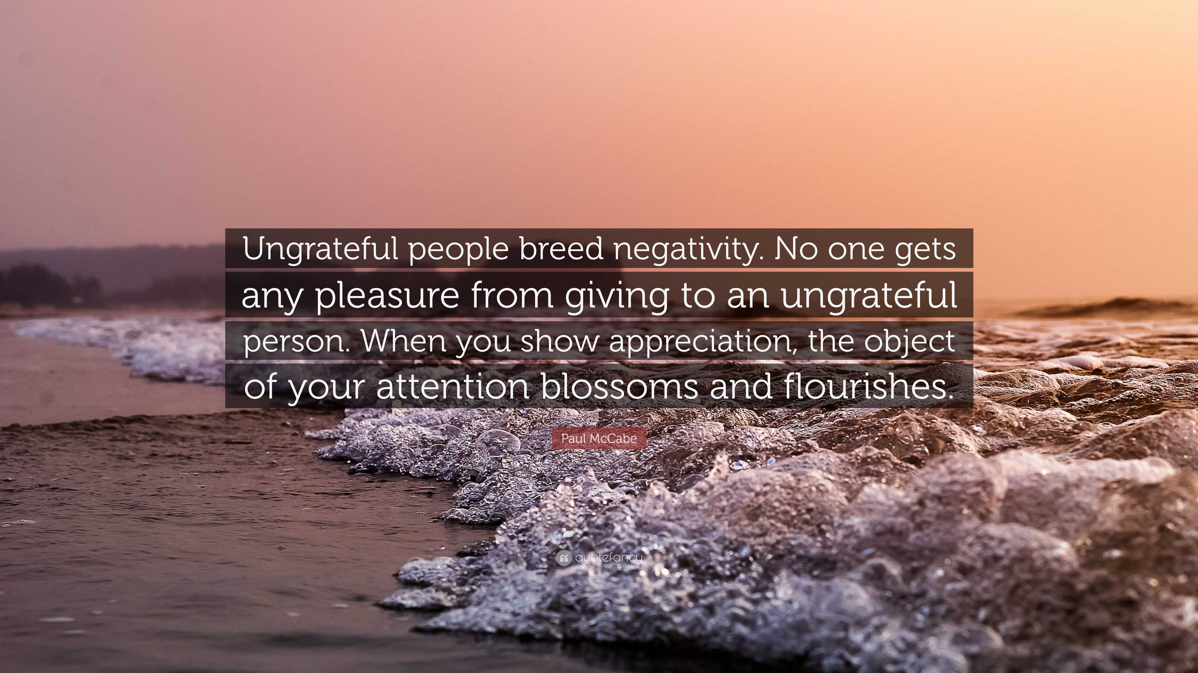 Paul McCabe Quote: “Ungrateful people breed negativity. No one gets any ...