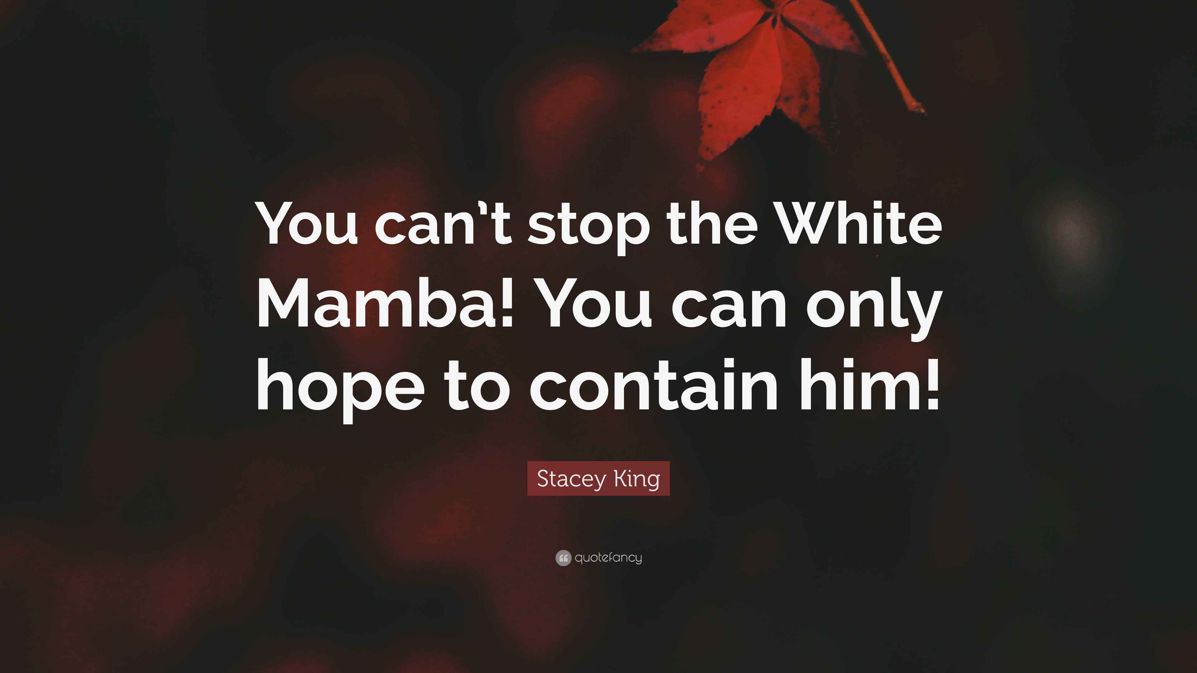 Stacey King Quote: “You can’t stop the White Mamba! You can only hope ...
