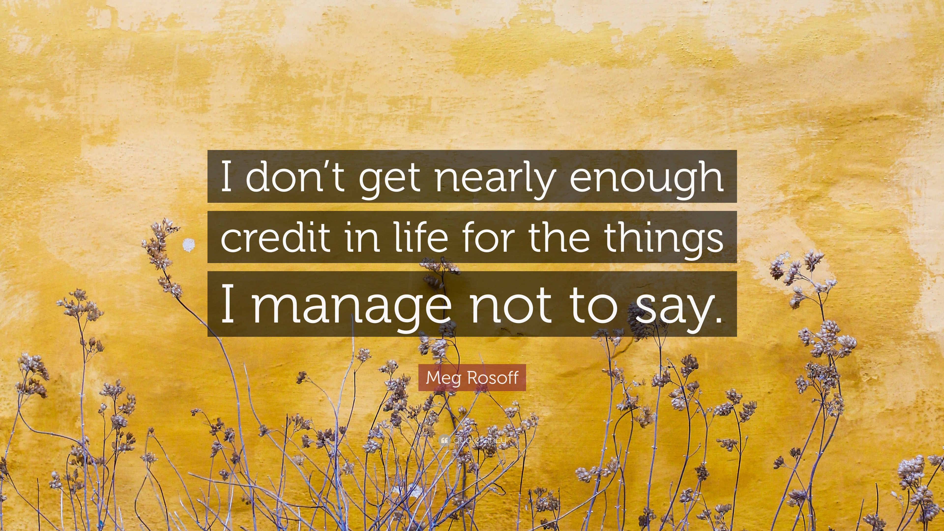 Meg Rosoff Quote: “I don’t get nearly enough credit in life for the ...
