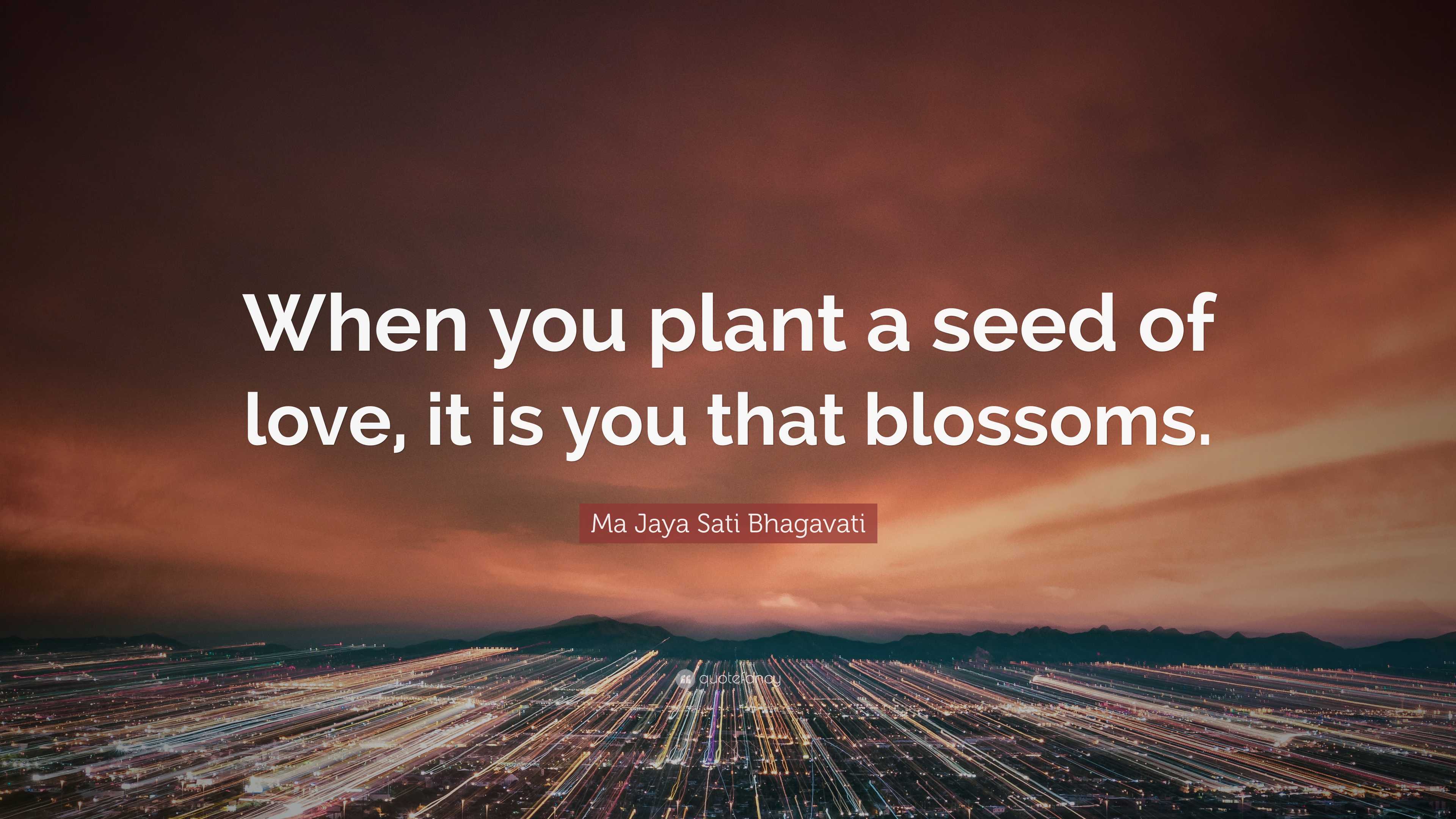 Ma Jaya Sati Bhagavati Quote: “When you plant a seed of love, it is you ...