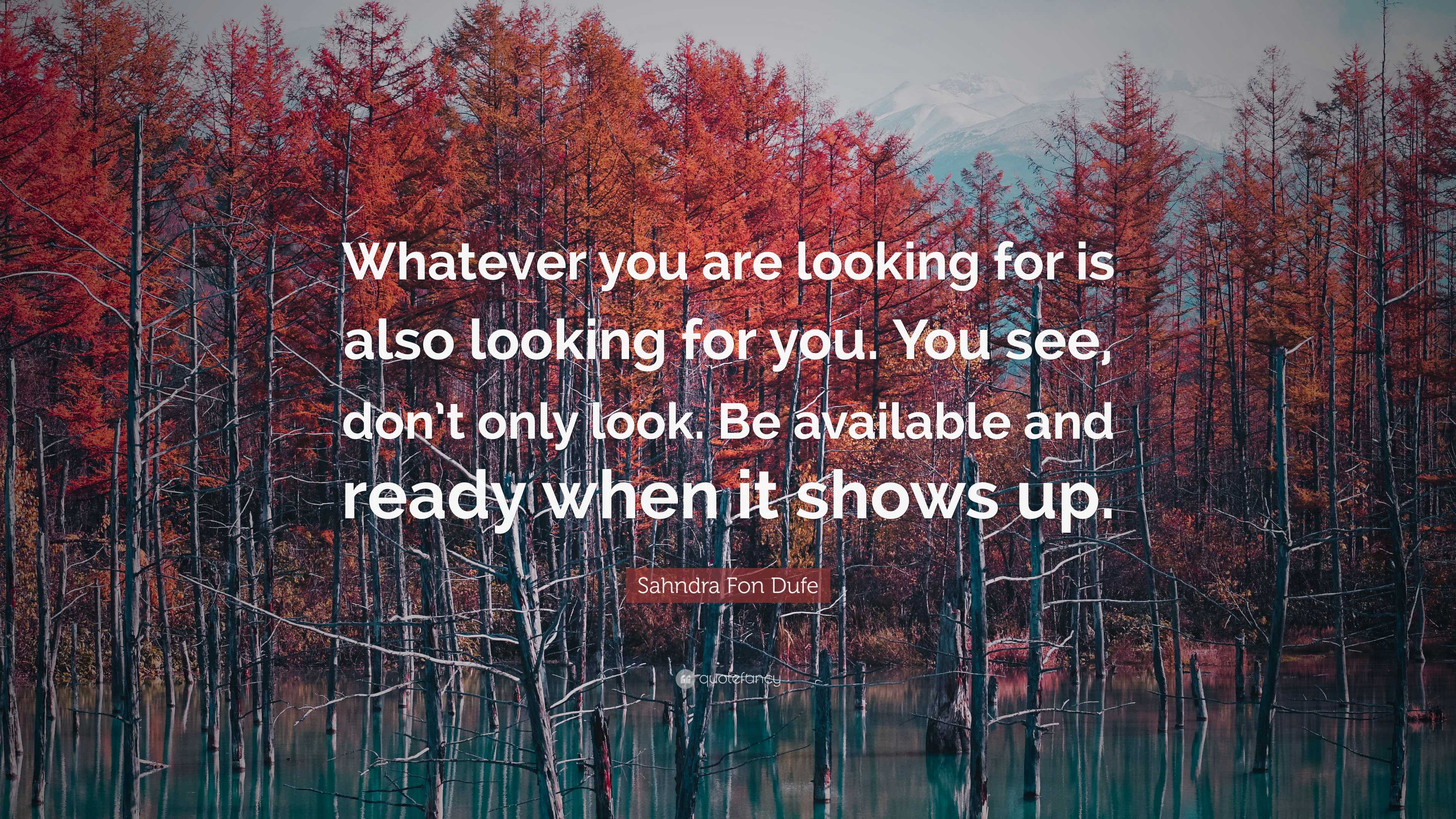 Sahndra Fon Dufe Quote: “Whatever you are looking for is also looking ...