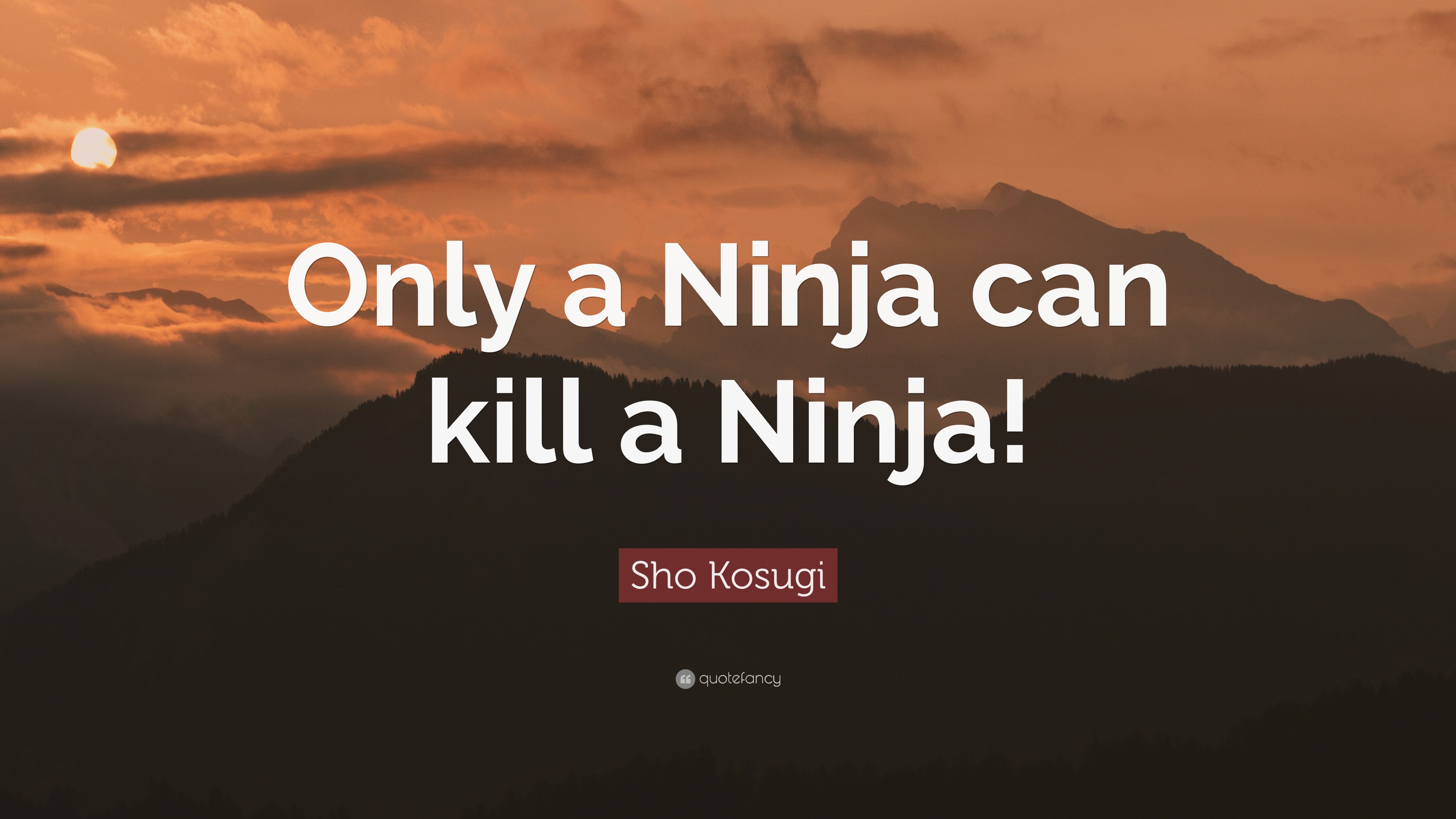 Sho Kosugi Quote: “Only a Ninja can kill a Ninja!”