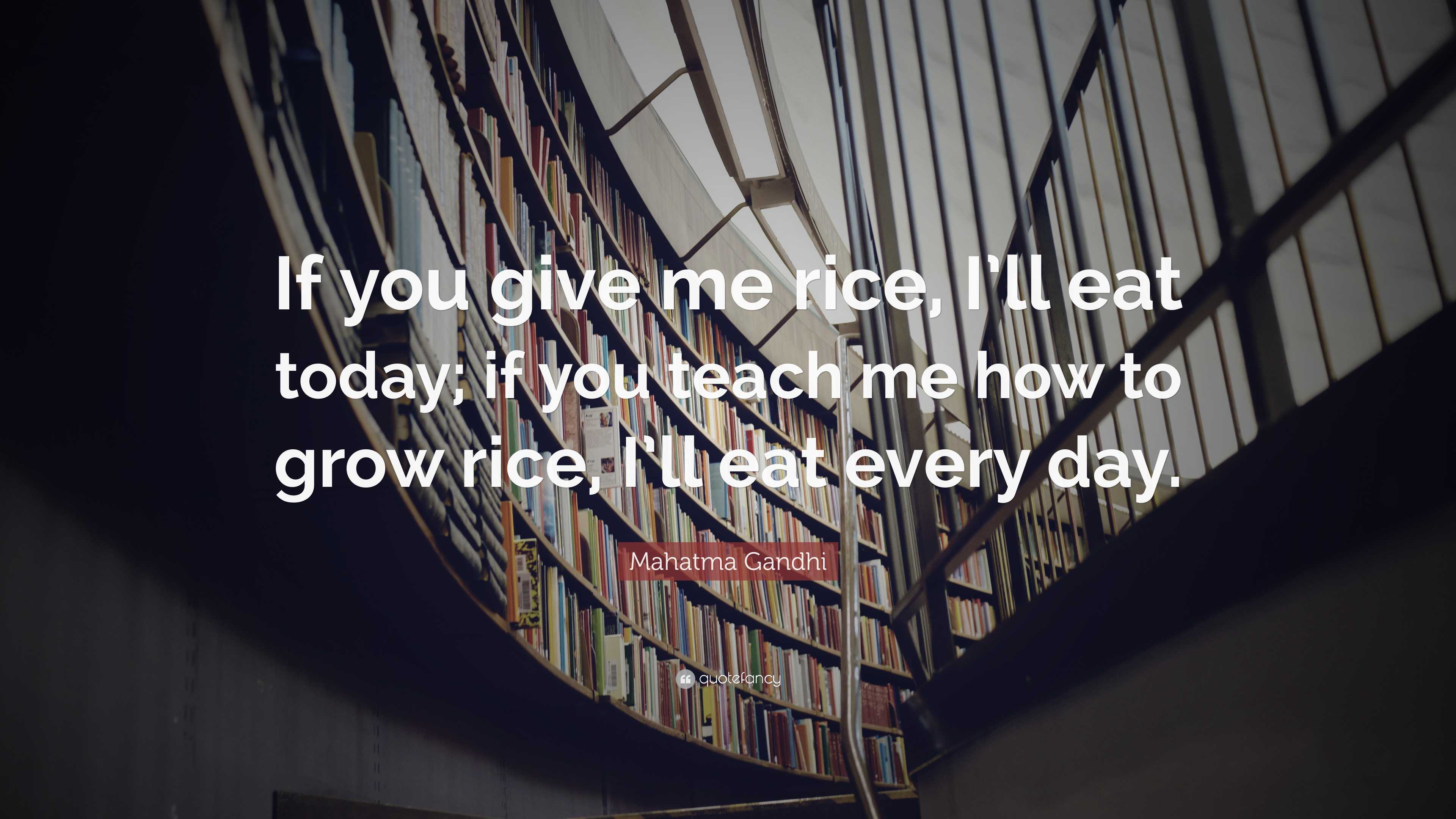 Mahatma Gandhi Quote: “If you give me rice, I’ll eat today; if you ...