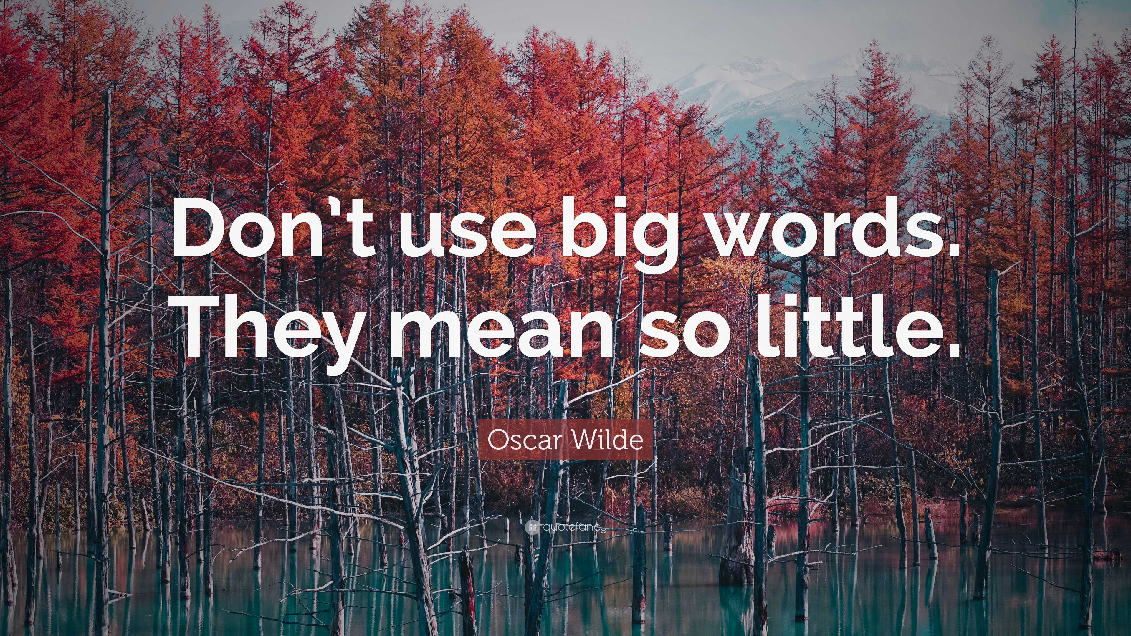 Oscar Wilde Quote: “Don’t use big words. They mean so little.”
