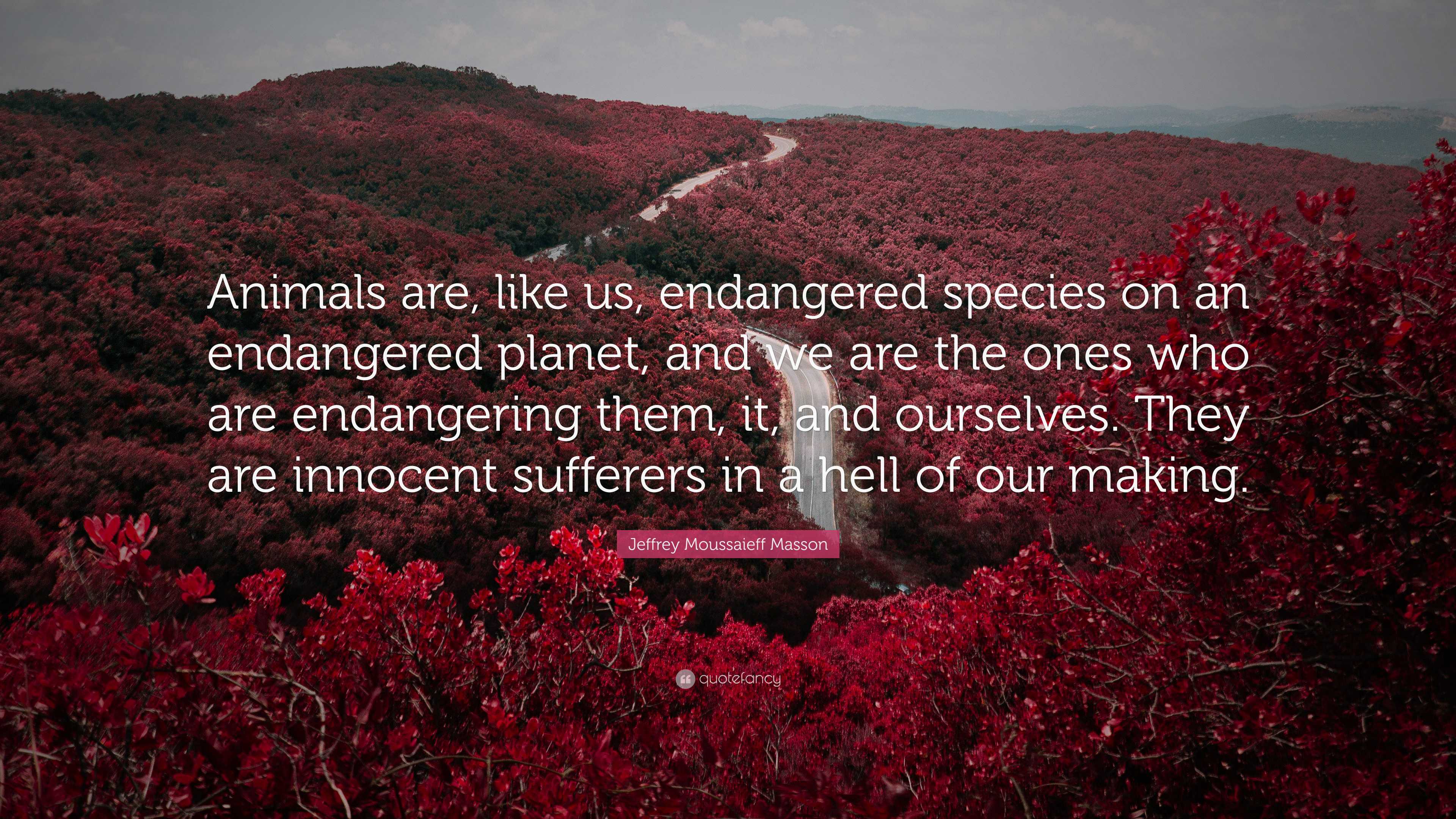 Jeffrey Moussaieff Masson Quote: “Animals are, like us, endangered ...