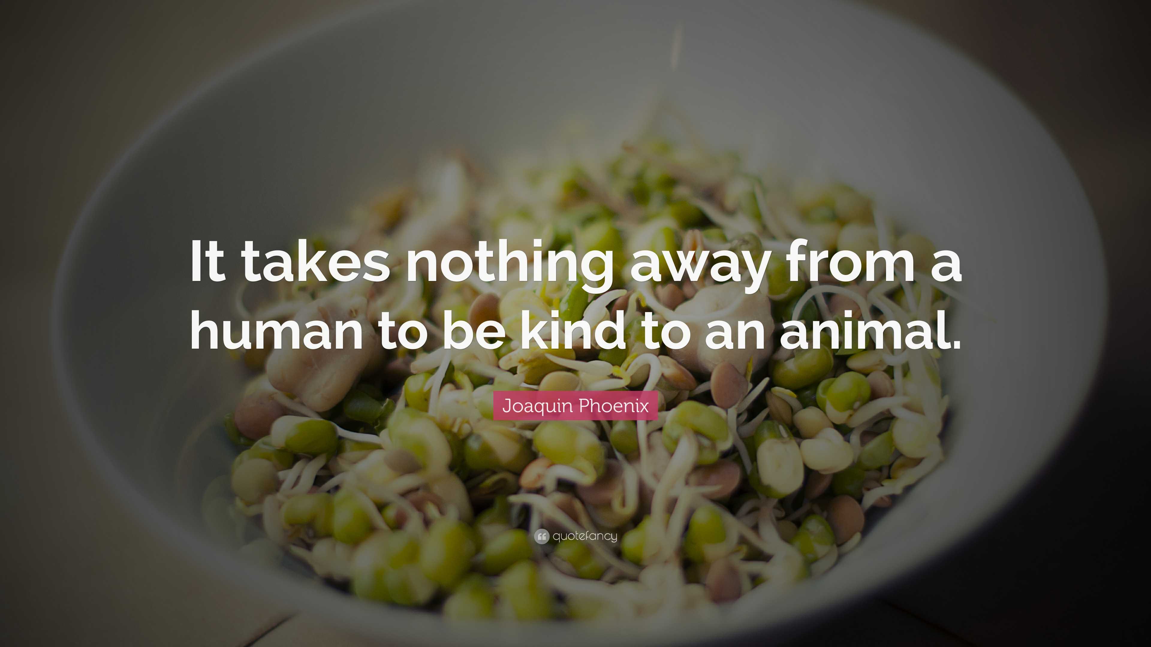 Joaquin Phoenix Quote: “It takes nothing away from a human to be kind ...