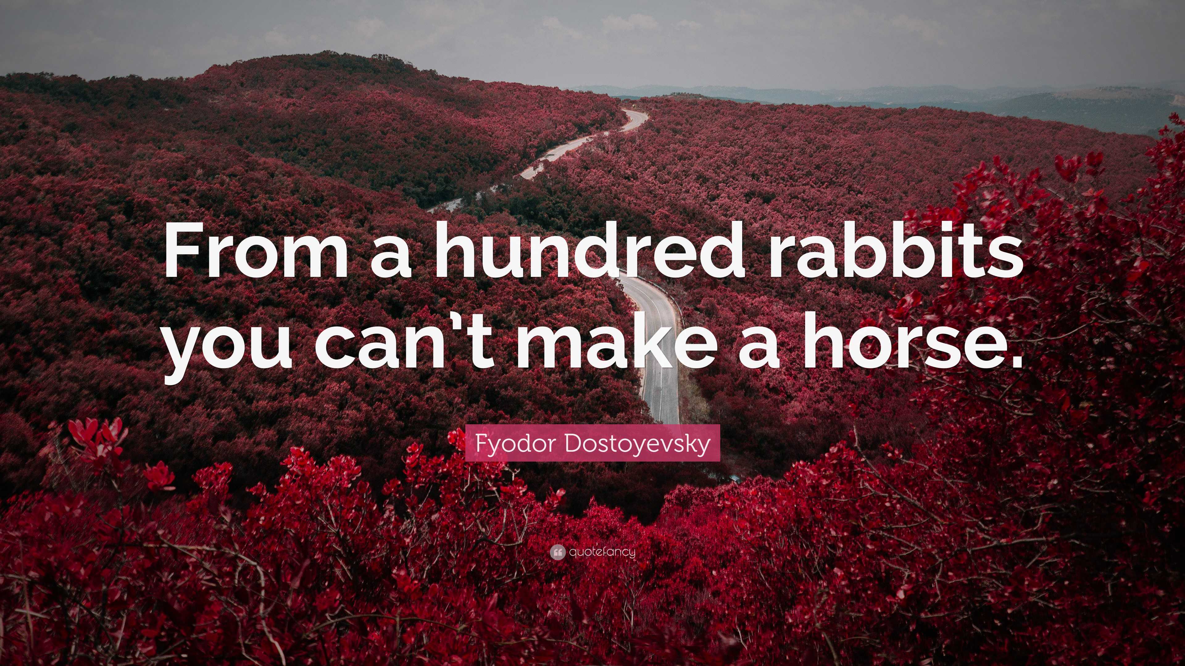 Fyodor Dostoyevsky Quote: “From a hundred rabbits you can’t make a horse.”