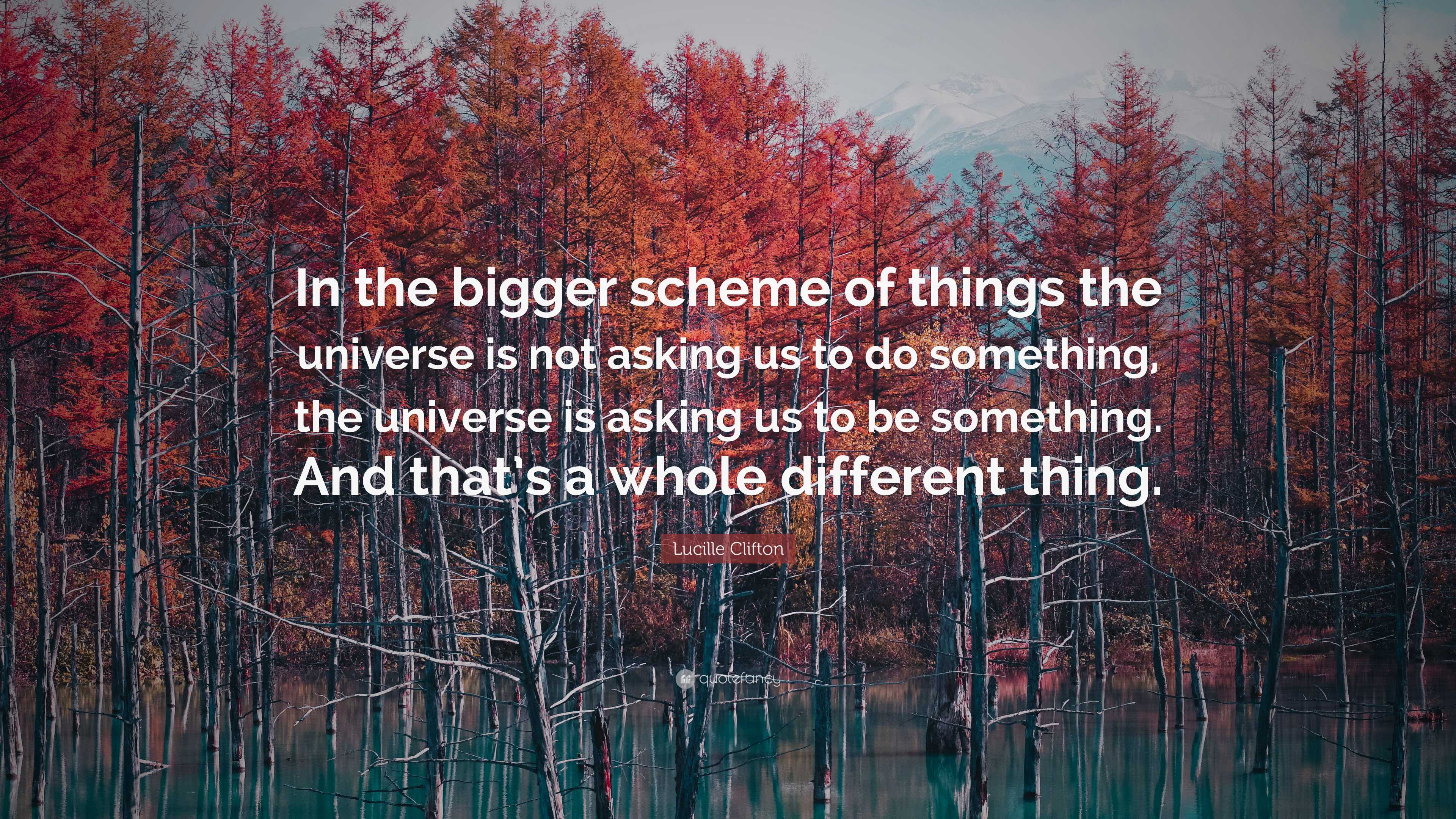 Lucille Clifton Quote: “In the bigger scheme of things the universe is ...