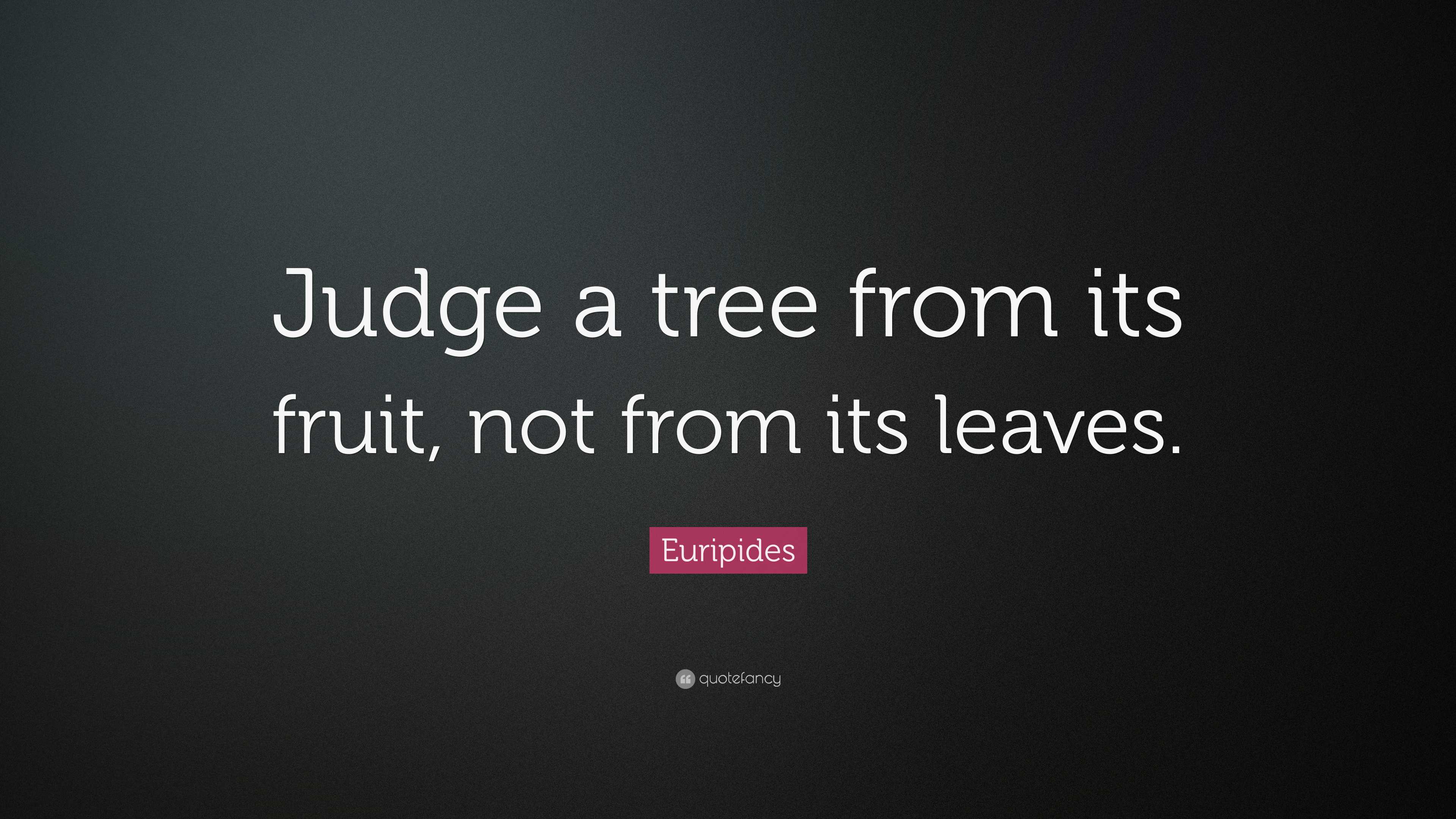 Euripides Quote: “Judge a tree from its fruit, not from its leaves.”