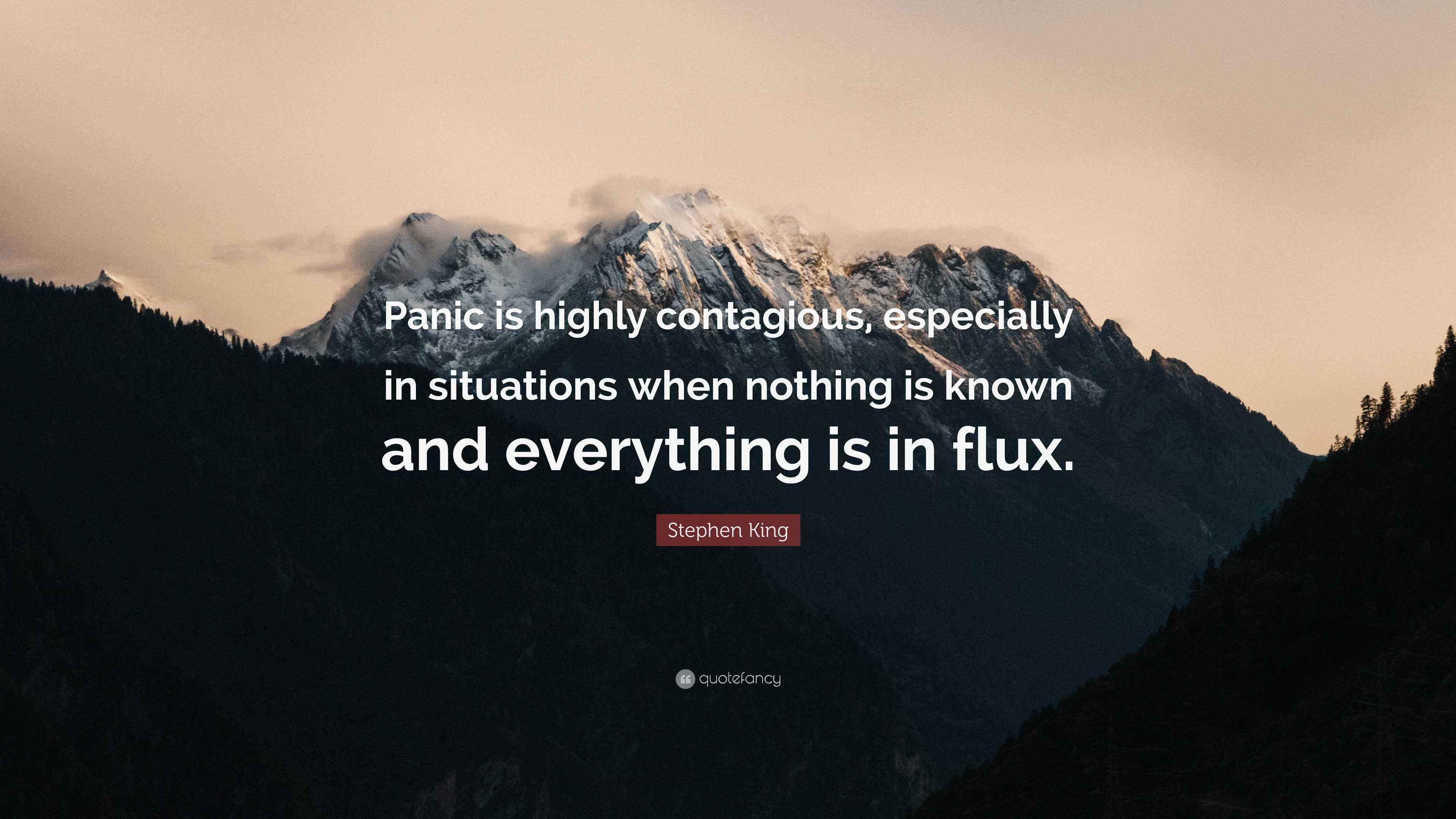 Stephen King Quote: “Panic is highly contagious, especially in ...