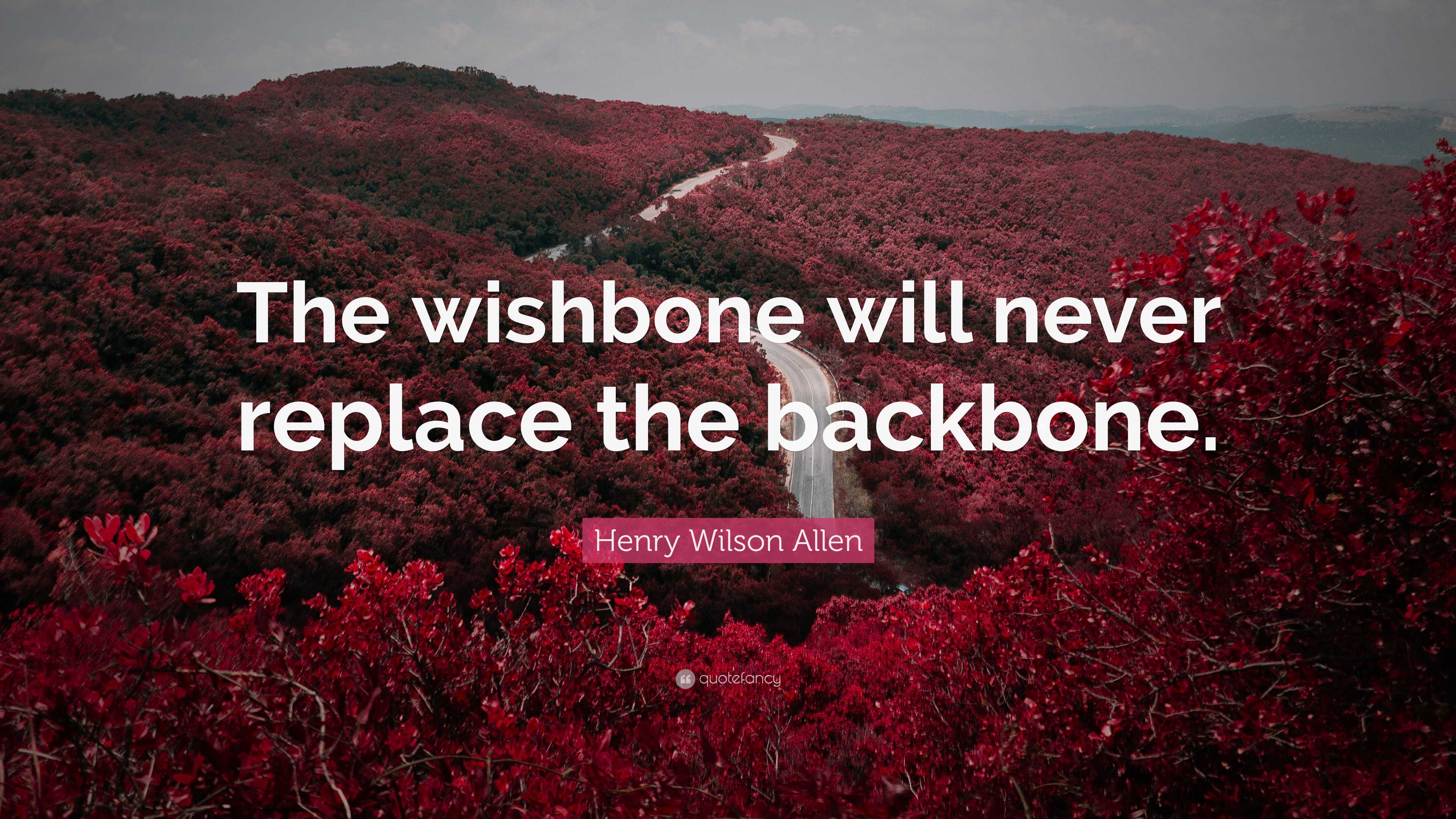 Henry Wilson Allen Quote: “The wishbone will never replace the backbone.”