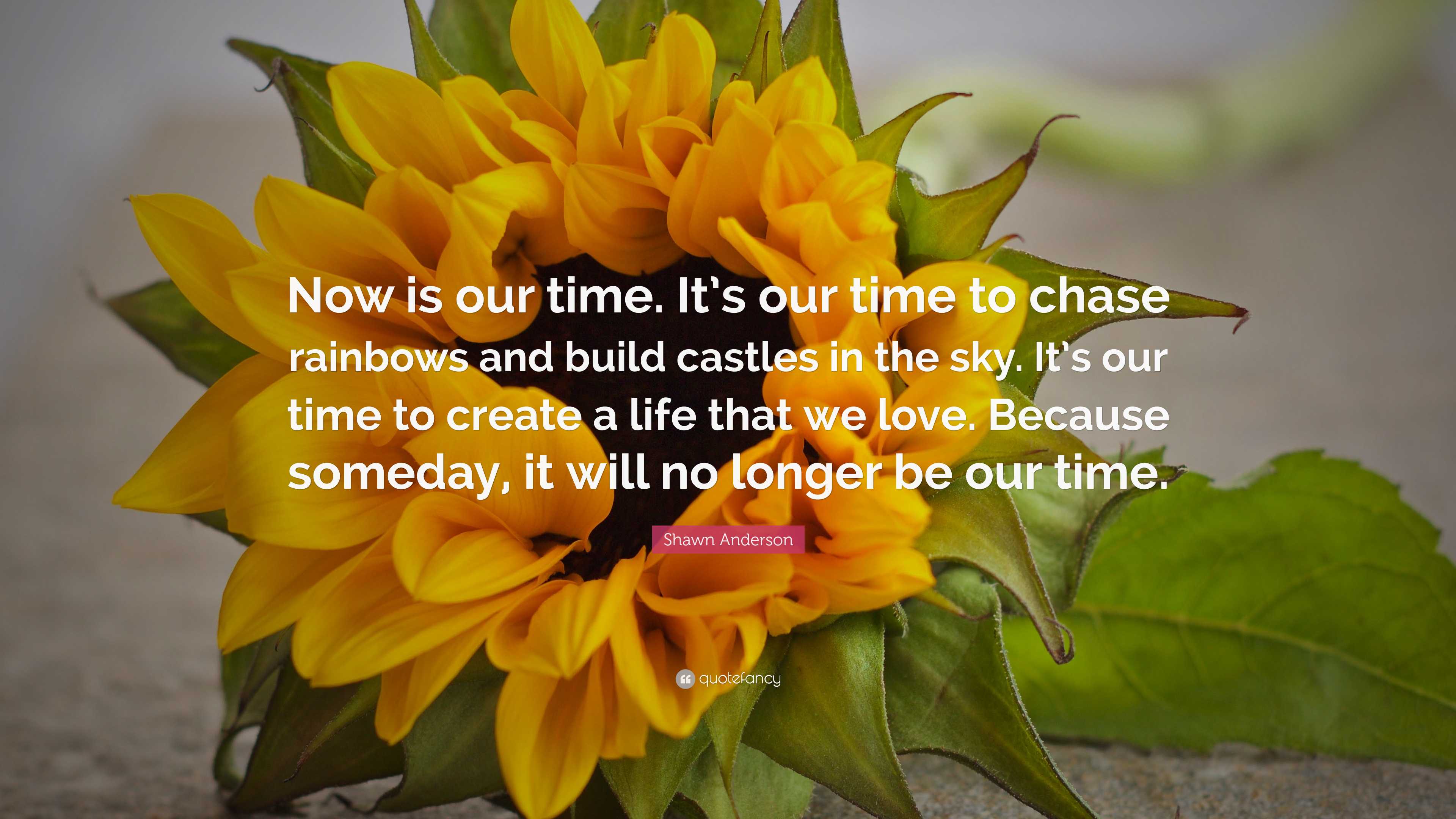 Shawn Anderson Quote: “Now is our time. It’s our time to chase rainbows ...