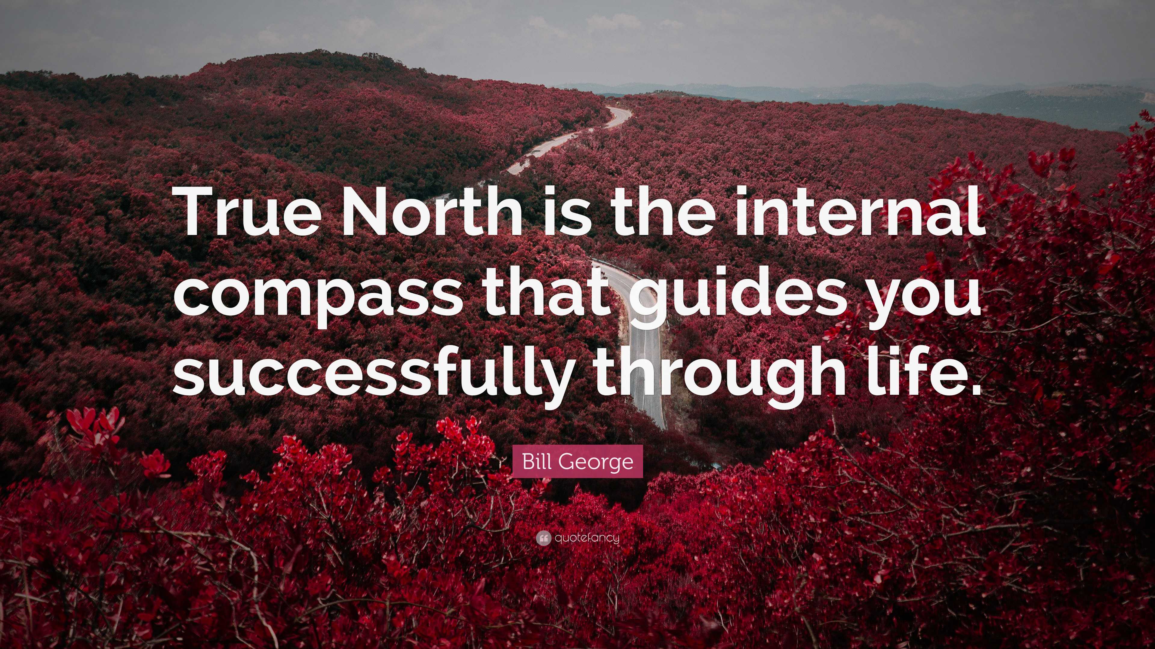 Bill George Quote: “True North is the internal compass that guides you ...