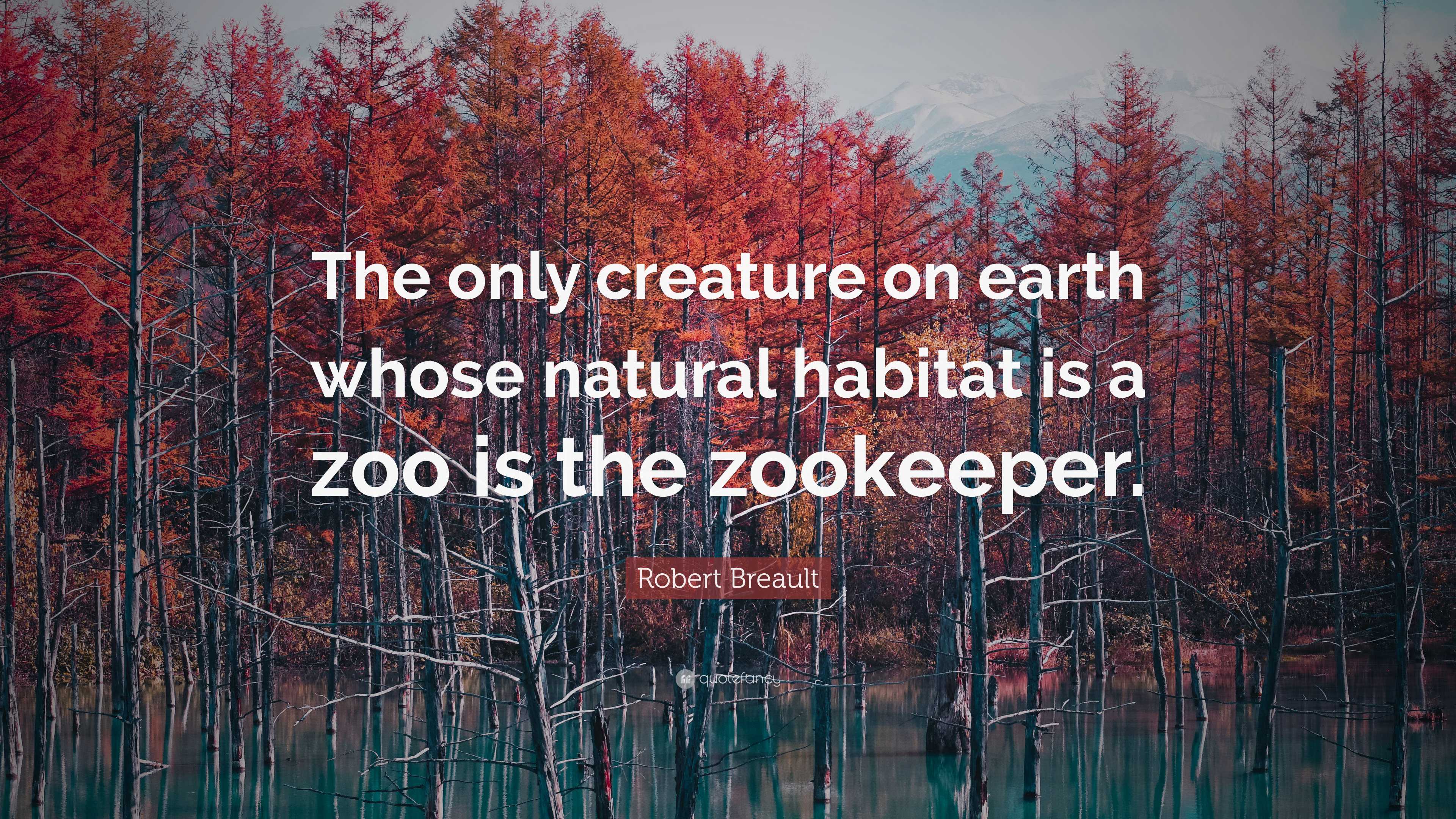 Robert Breault Quote: “The only creature on earth whose natural habitat ...
