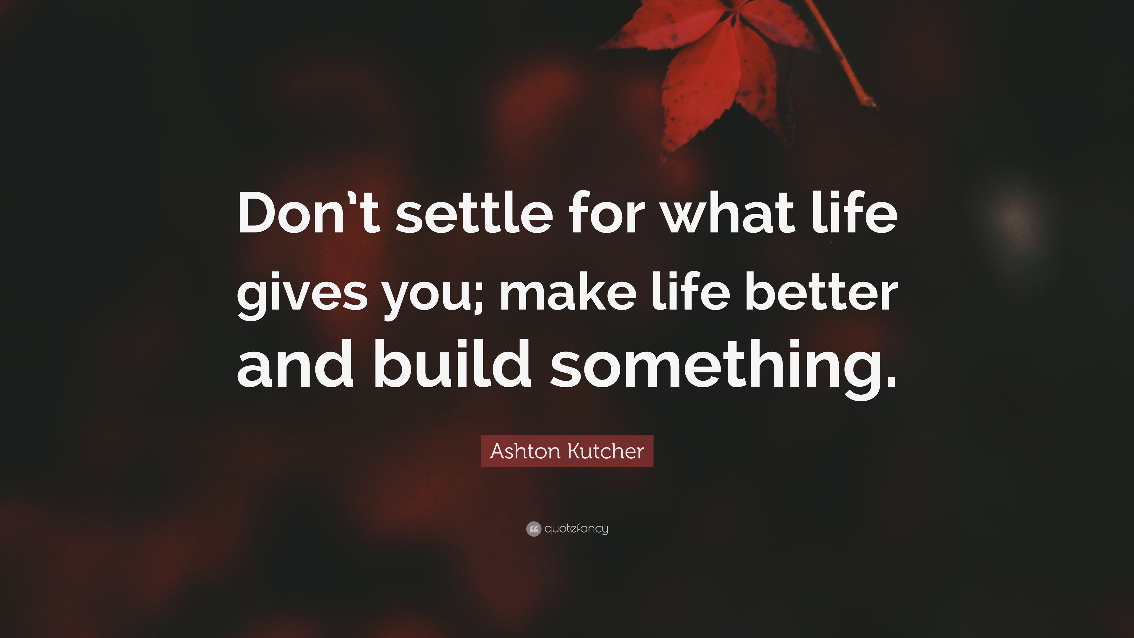 Ashton Kutcher Quote: “Don’t settle for what life gives you; make life ...