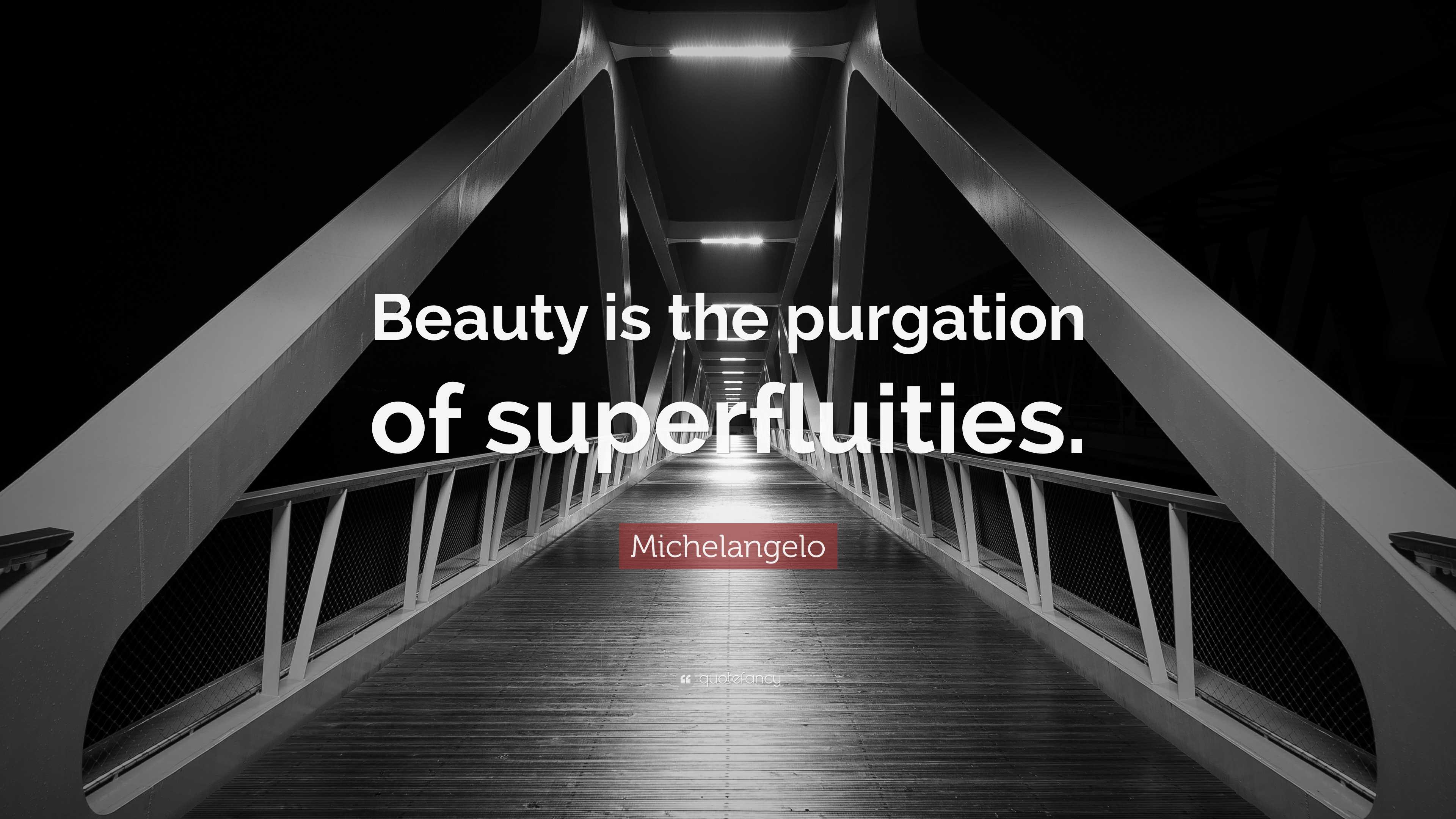 Michelangelo Quote: “Beauty is the purgation of superfluities.”
