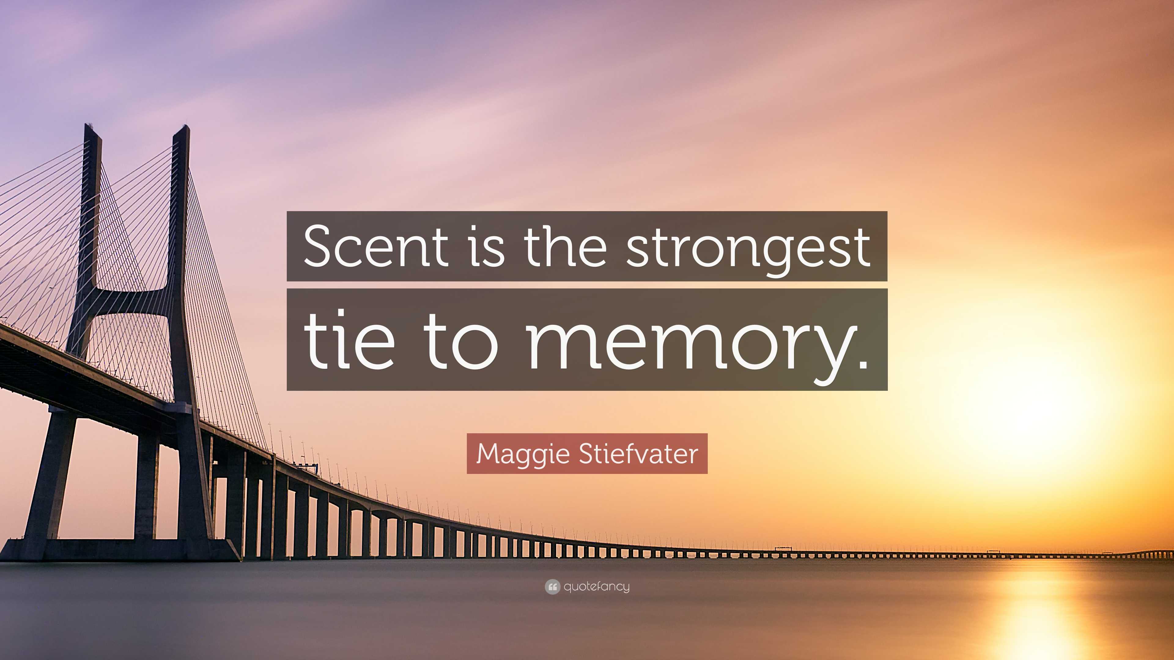 Maggie Stiefvater Quote: “Scent is the strongest tie to memory.”