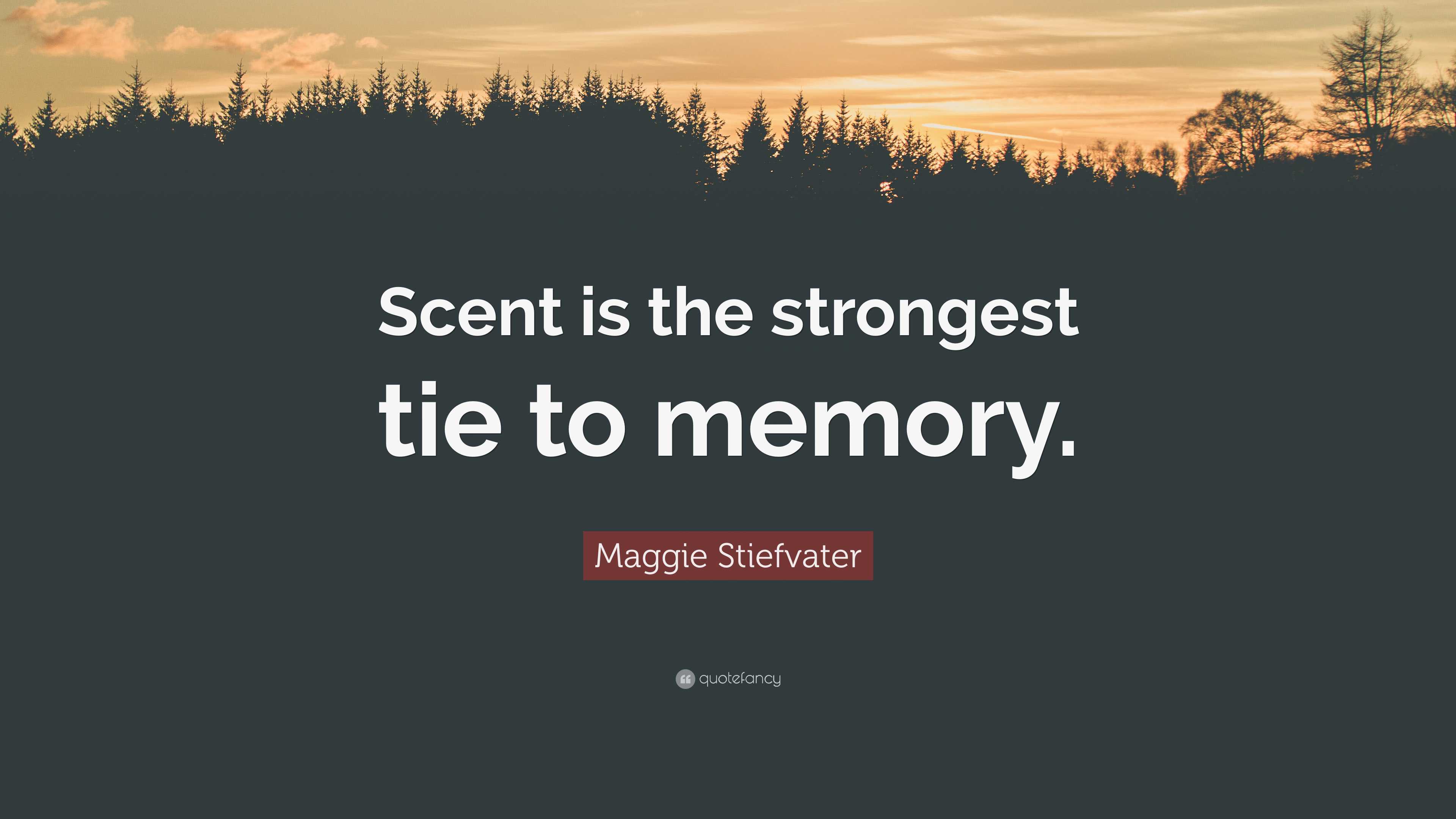 Maggie Stiefvater Quote: “Scent is the strongest tie to memory.”