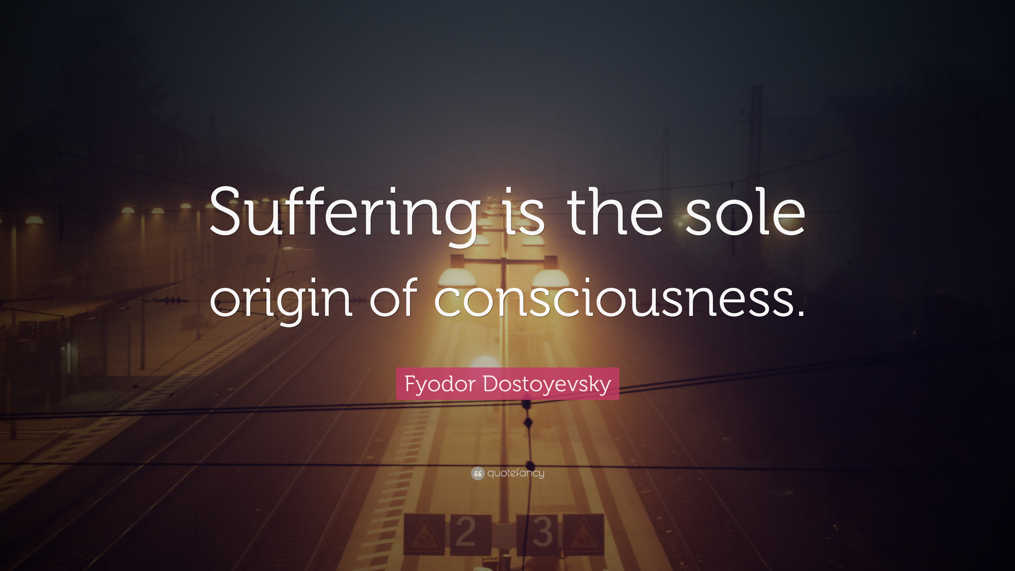 Fyodor Dostoyevsky Quote: “Suffering is the sole origin of consciousness.”