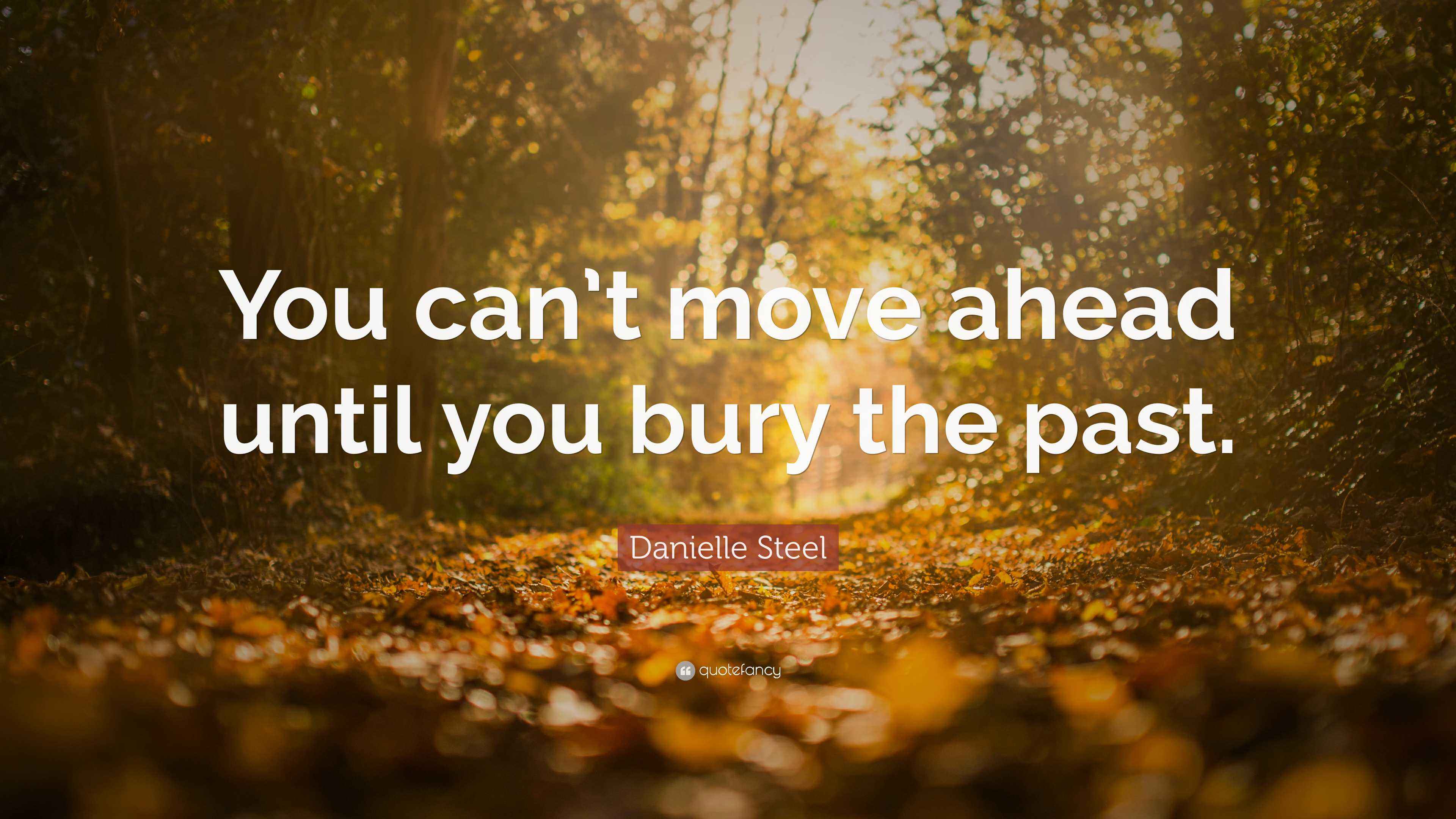Danielle Steel Quote: “You can’t move ahead until you bury the past.”