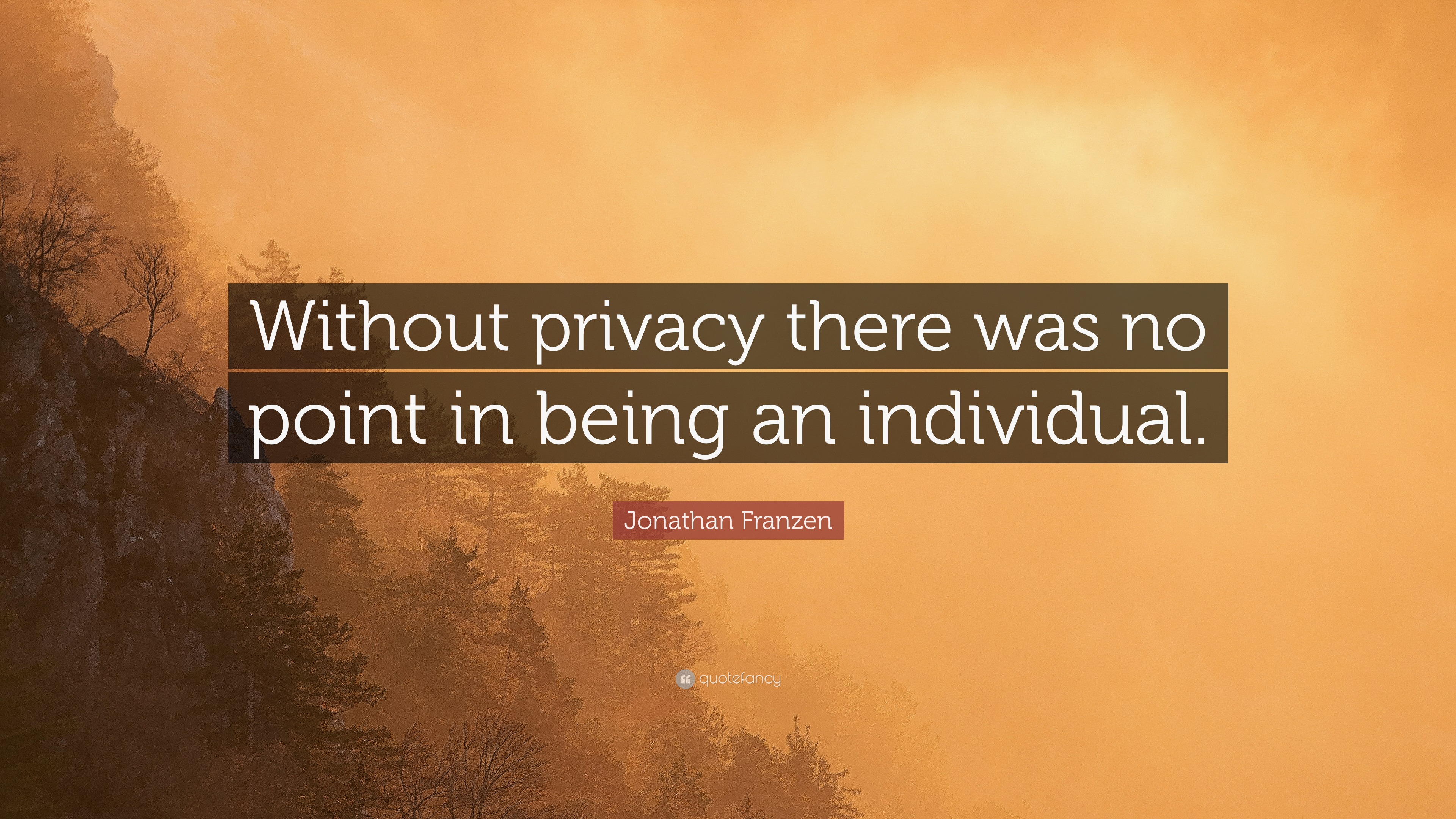 Jonathan Franzen Quote: “Without privacy there was no point in being an ...