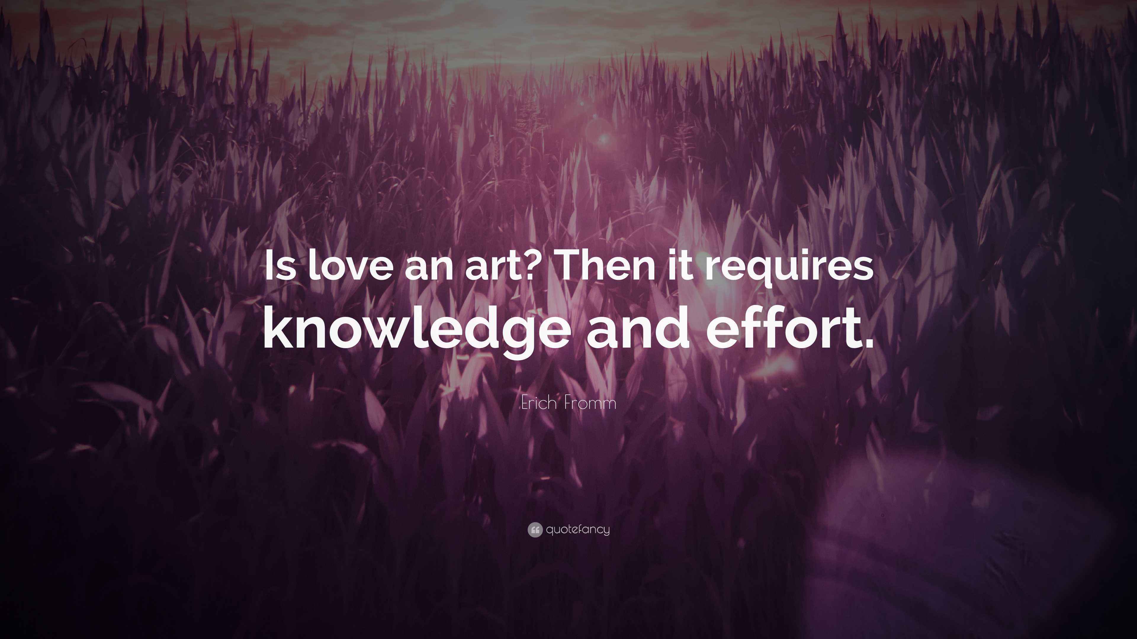 Erich Fromm Quote: “Is love an art? Then it requires knowledge and effort.”