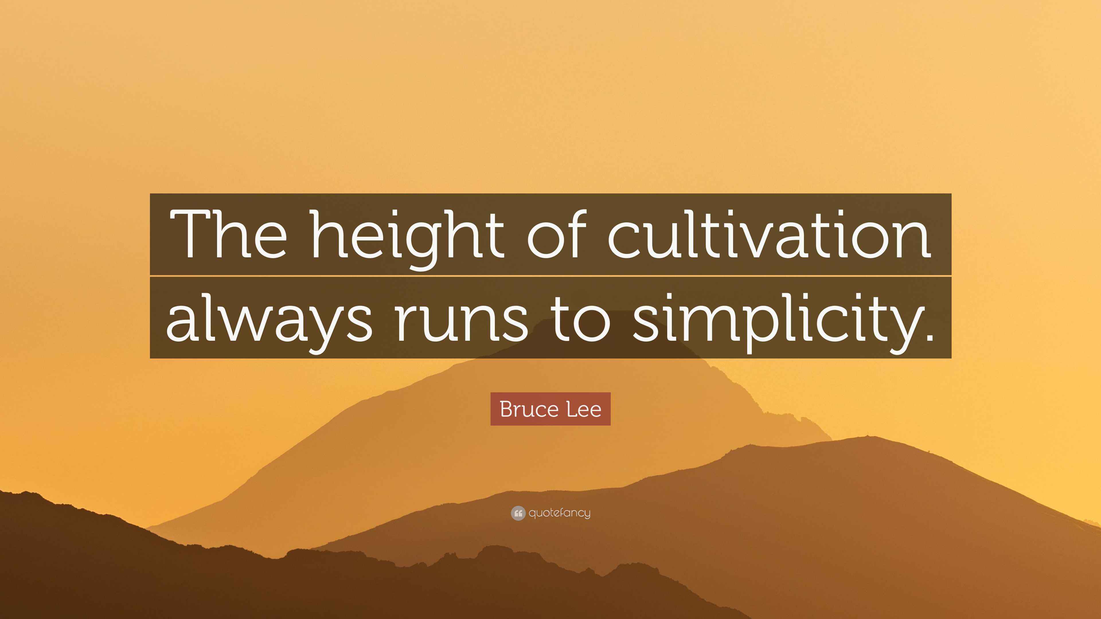 Bruce Lee Quote: “The height of cultivation always runs to simplicity.”