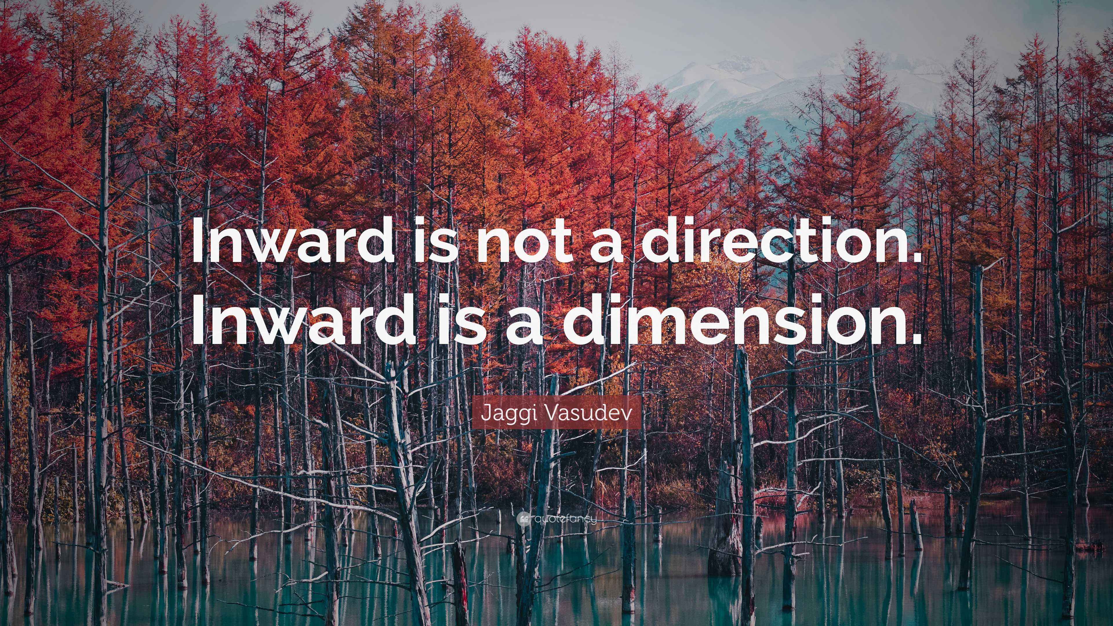 Jaggi Vasudev Quote: “Inward is not a direction. Inward is a dimension.”