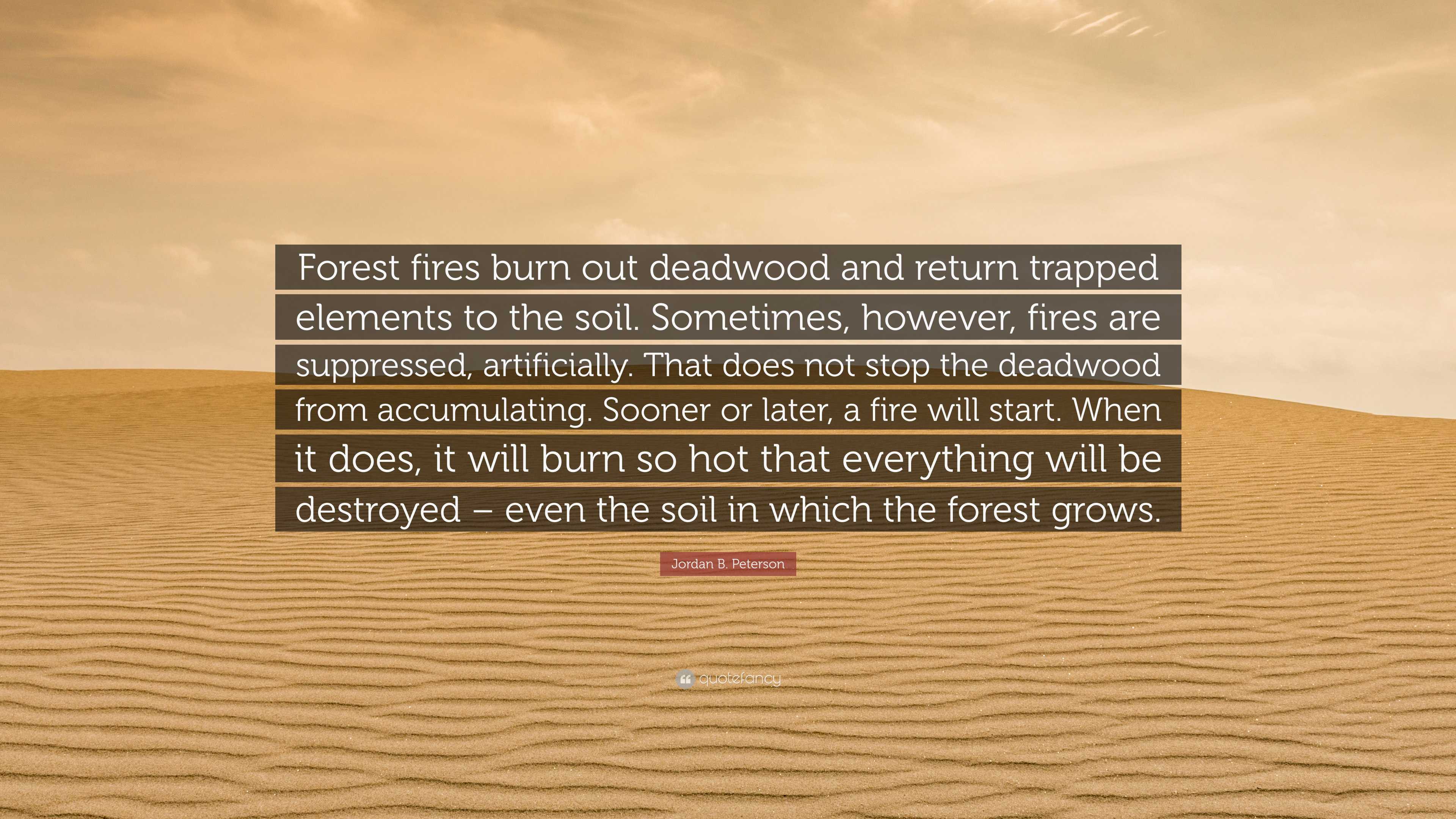 Jordan B. Peterson Quote: “Forest fires burn out deadwood and return ...