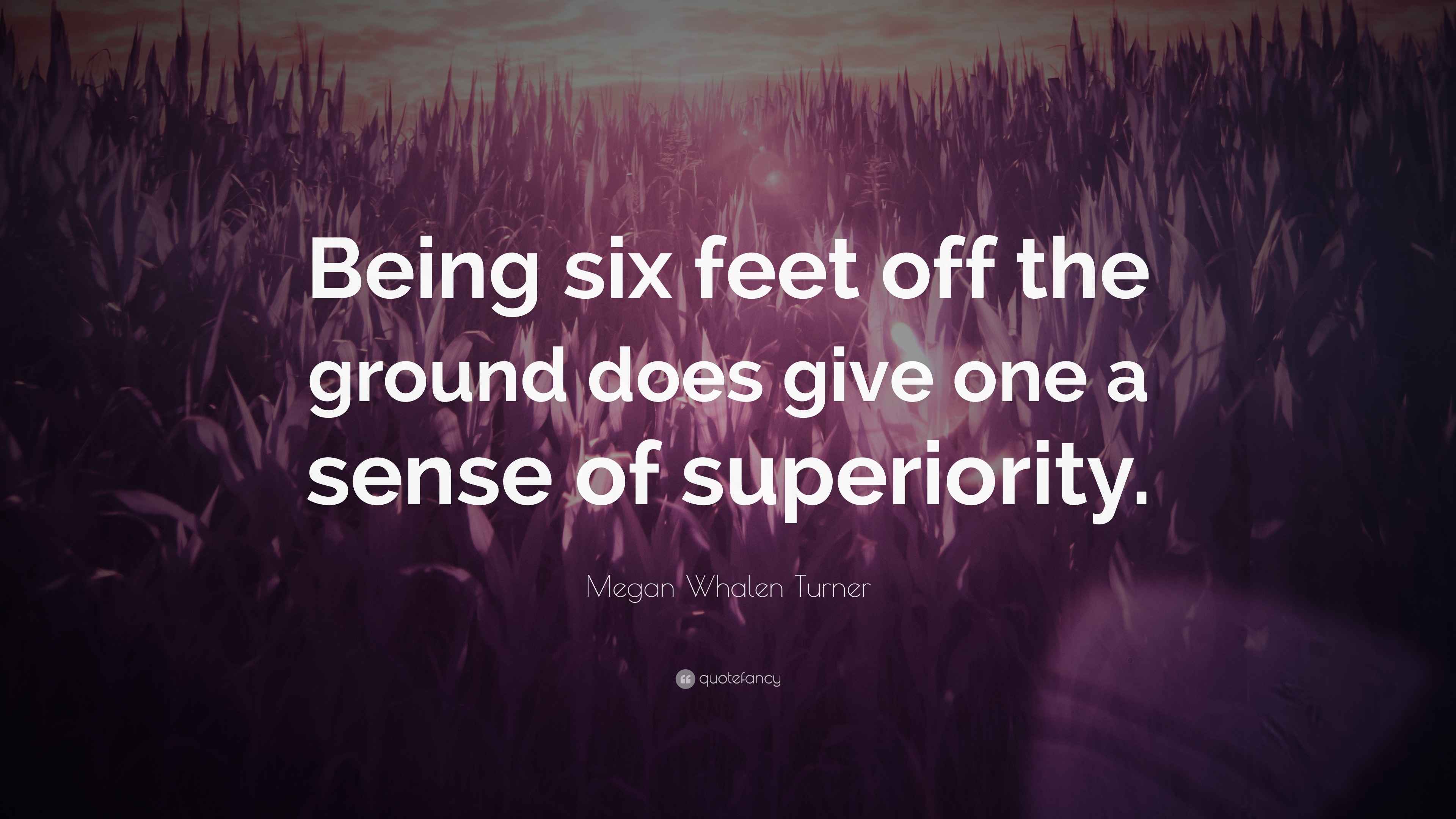 Megan Whalen Turner Quote: “Being six feet off the ground does give one ...