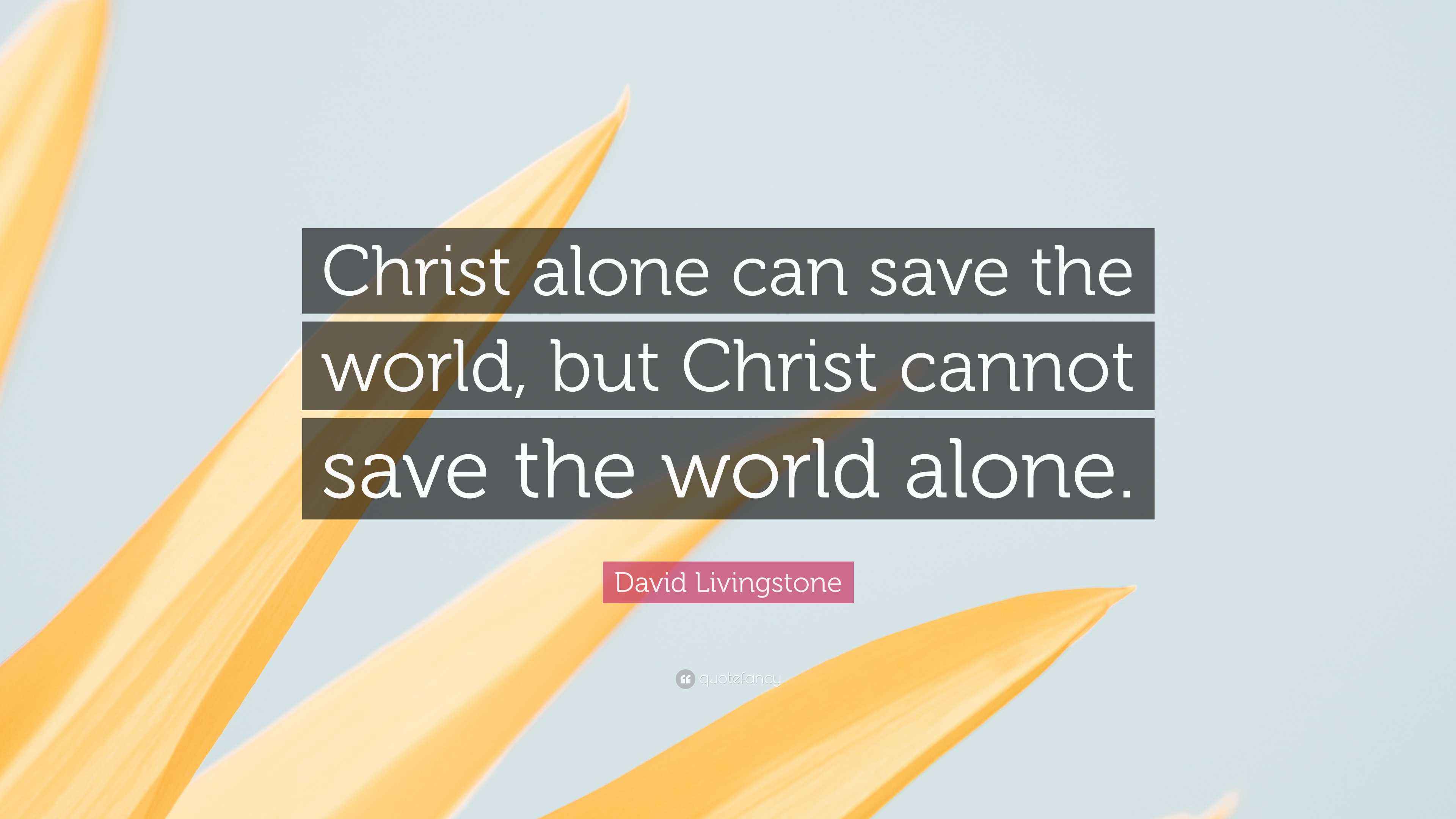 David Livingstone Quote: “Christ alone can save the world, but Christ ...