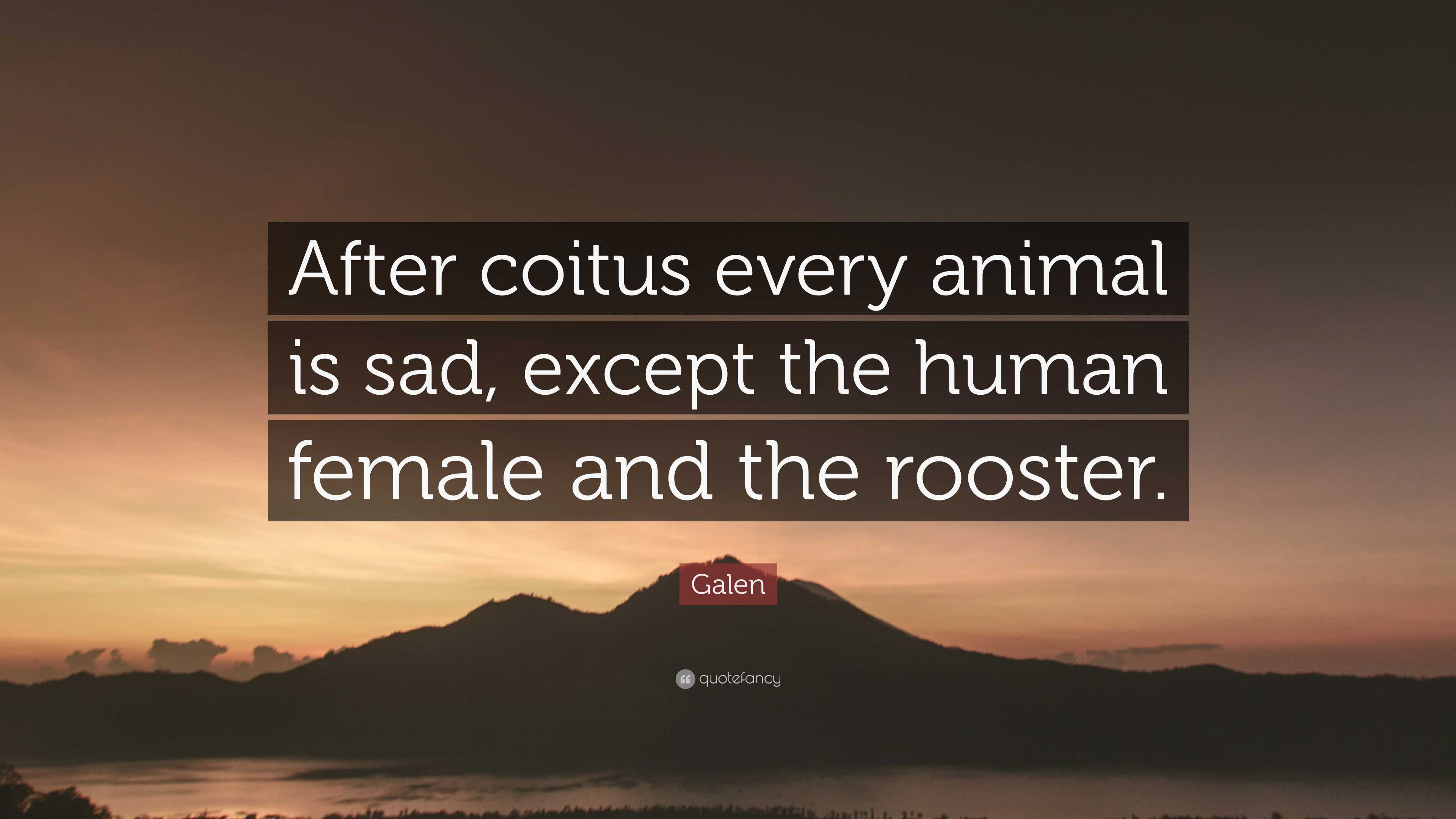 Galen Quote: “After coitus every animal is sad, except the human female ...