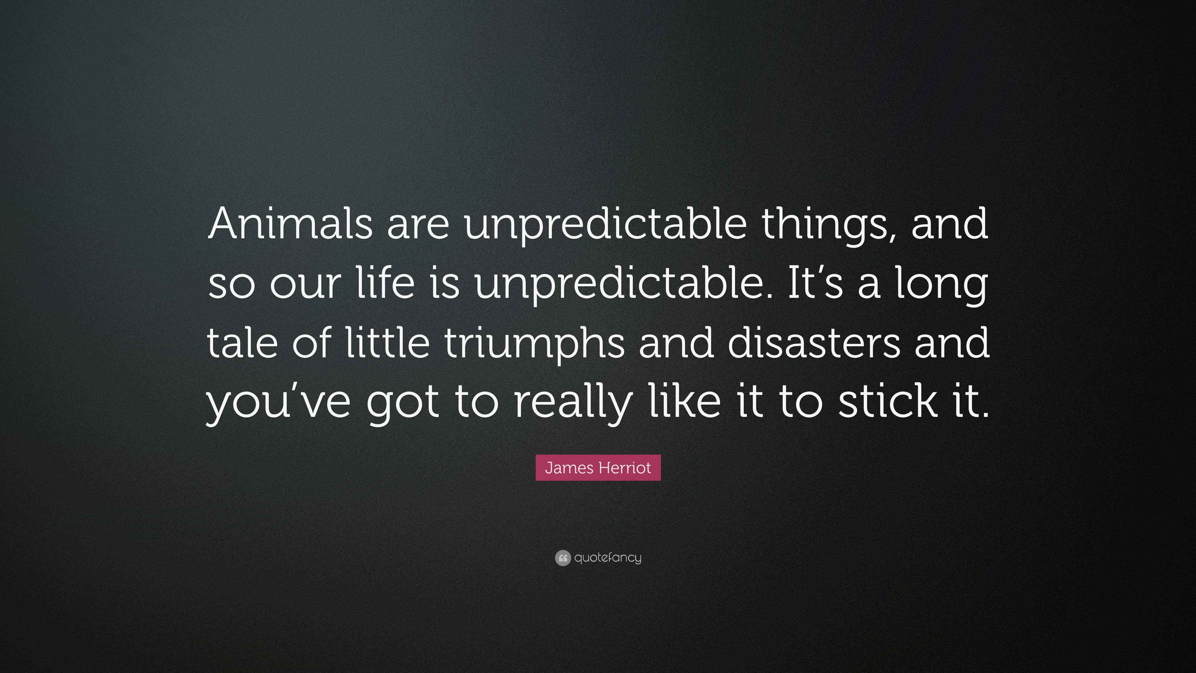 James Herriot Quote: “Animals are unpredictable things, and so our life ...