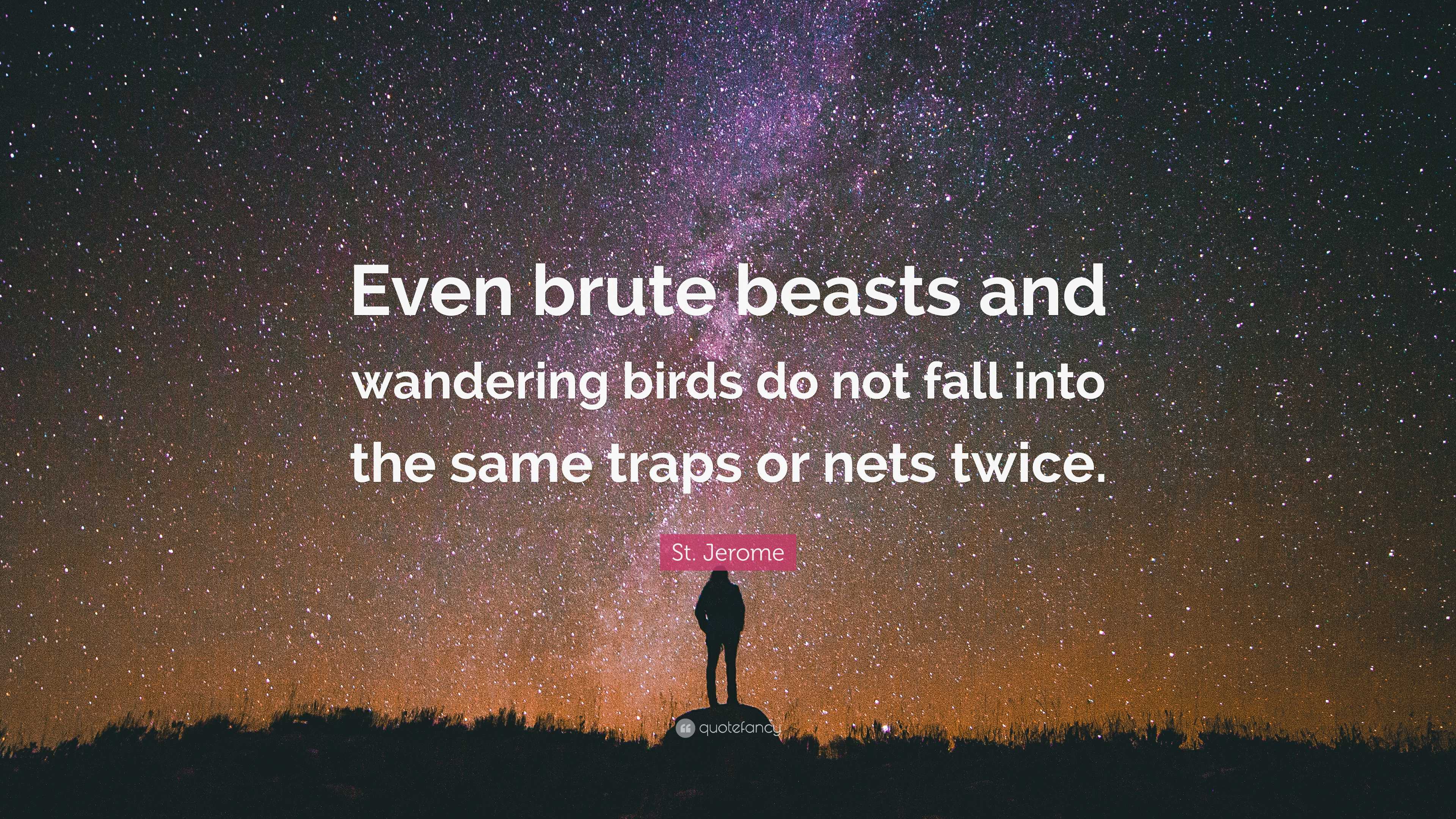 St. Jerome Quote: “Even brute beasts and wandering birds do not fall ...