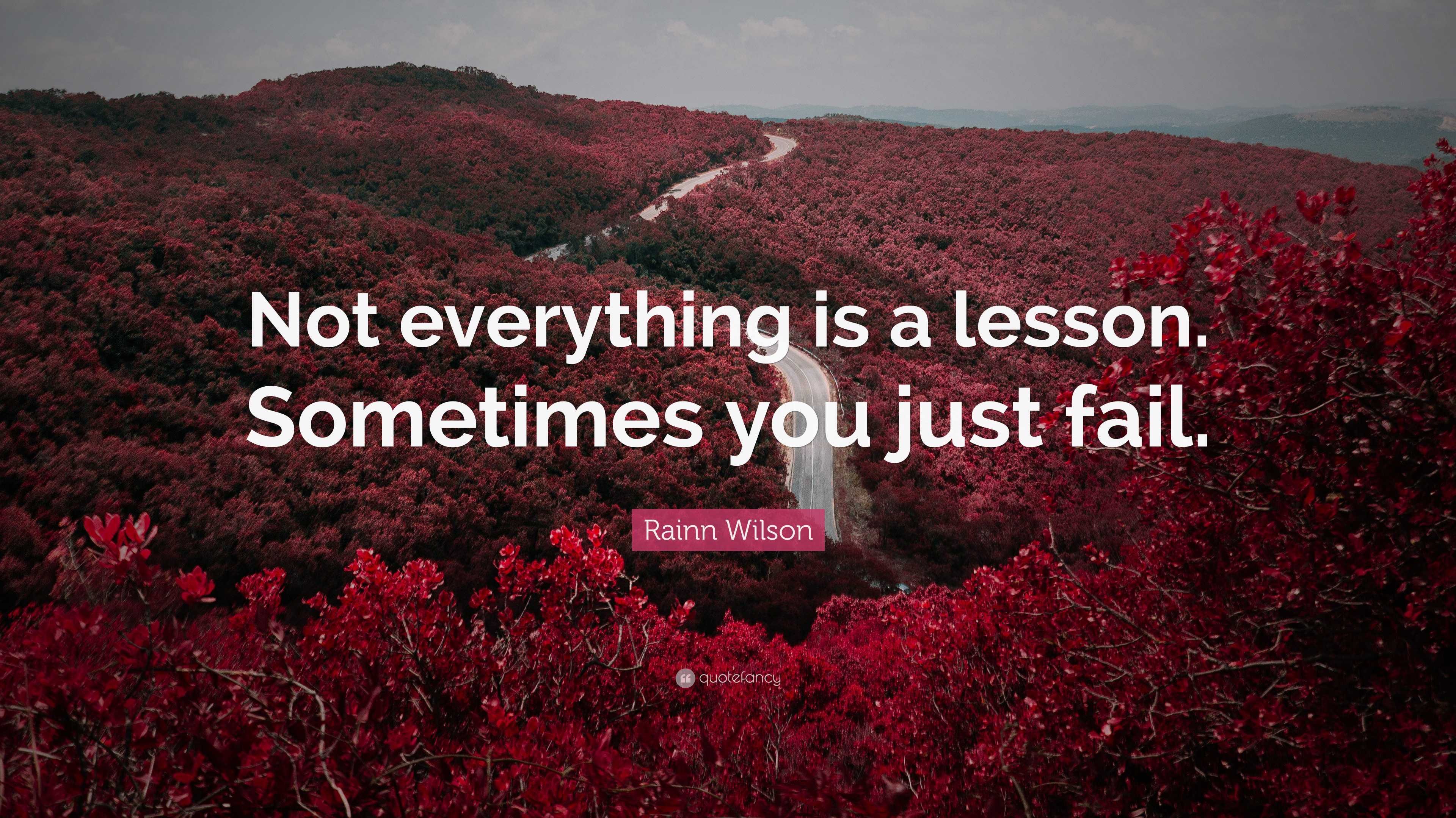 Rainn Wilson Quote: “Not everything is a lesson. Sometimes you just fail.”
