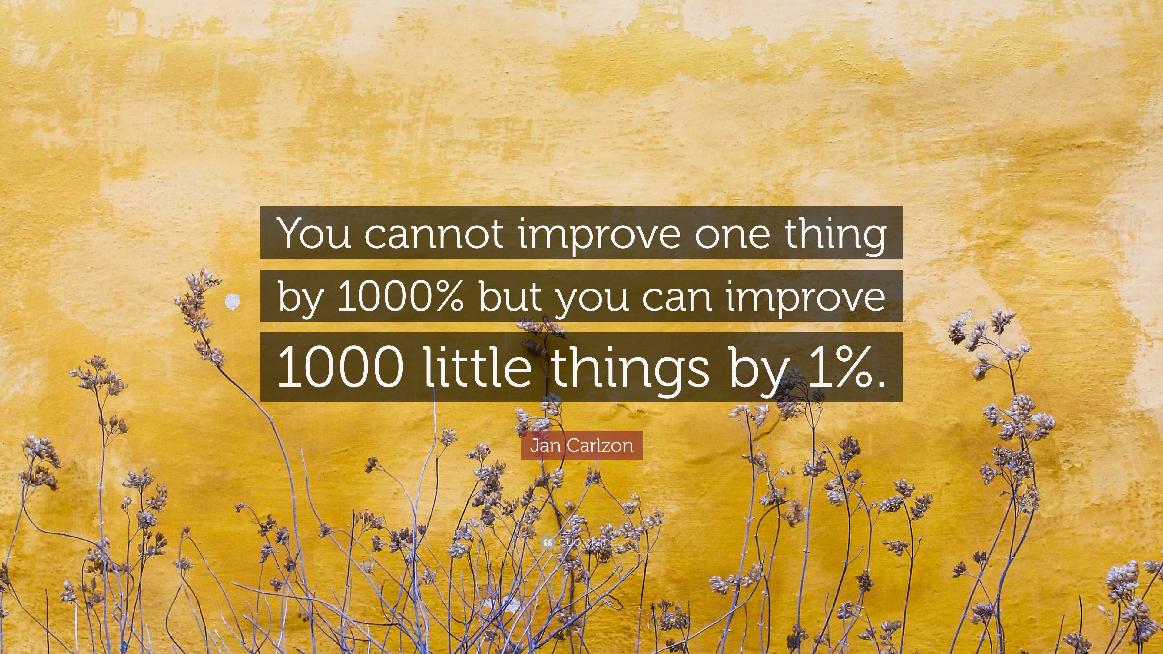 Jan Carlzon Quote: “You cannot improve one thing by 1000% but you can ...