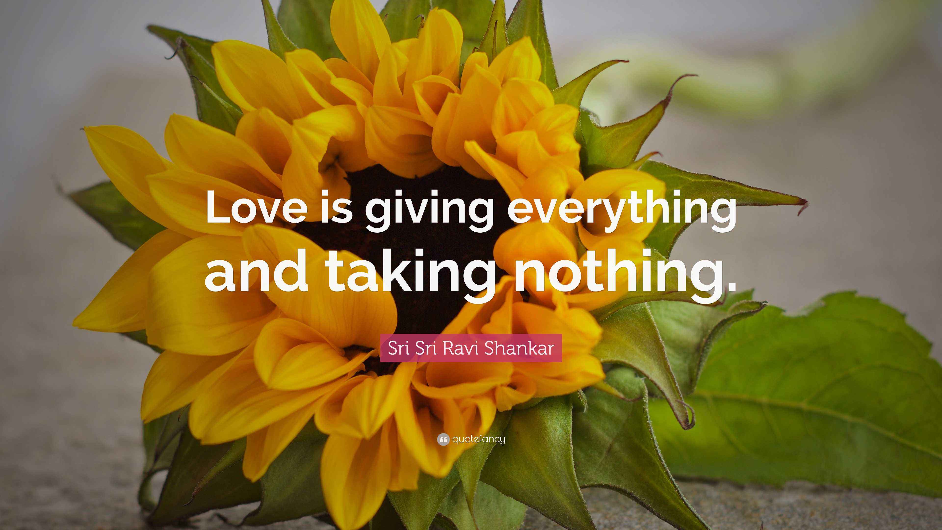 Sri Sri Ravi Shankar Quote: “Love is giving everything and taking nothing.”
