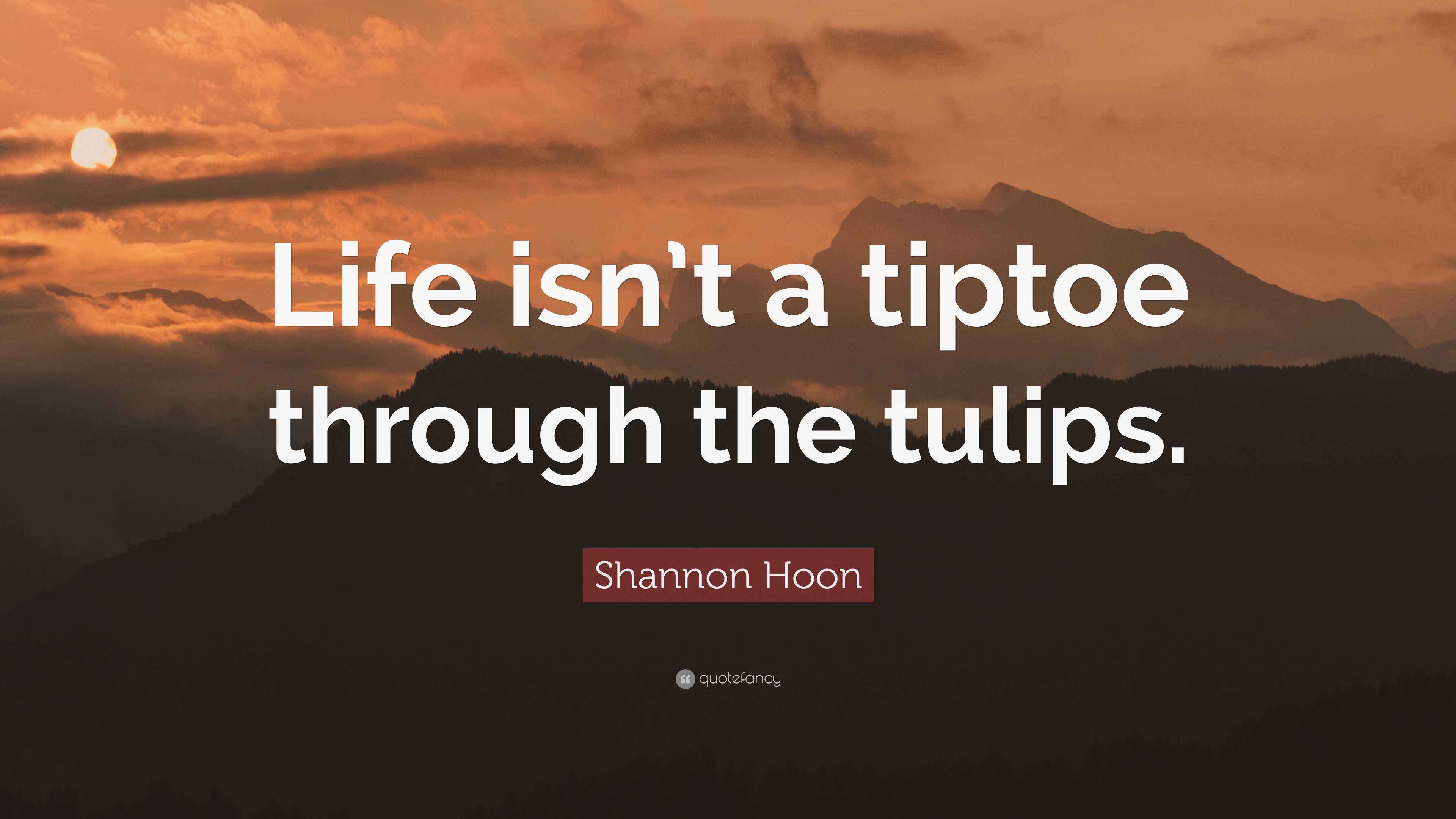 Shannon Hoon Quote: “Life isn’t a tiptoe through the tulips.”