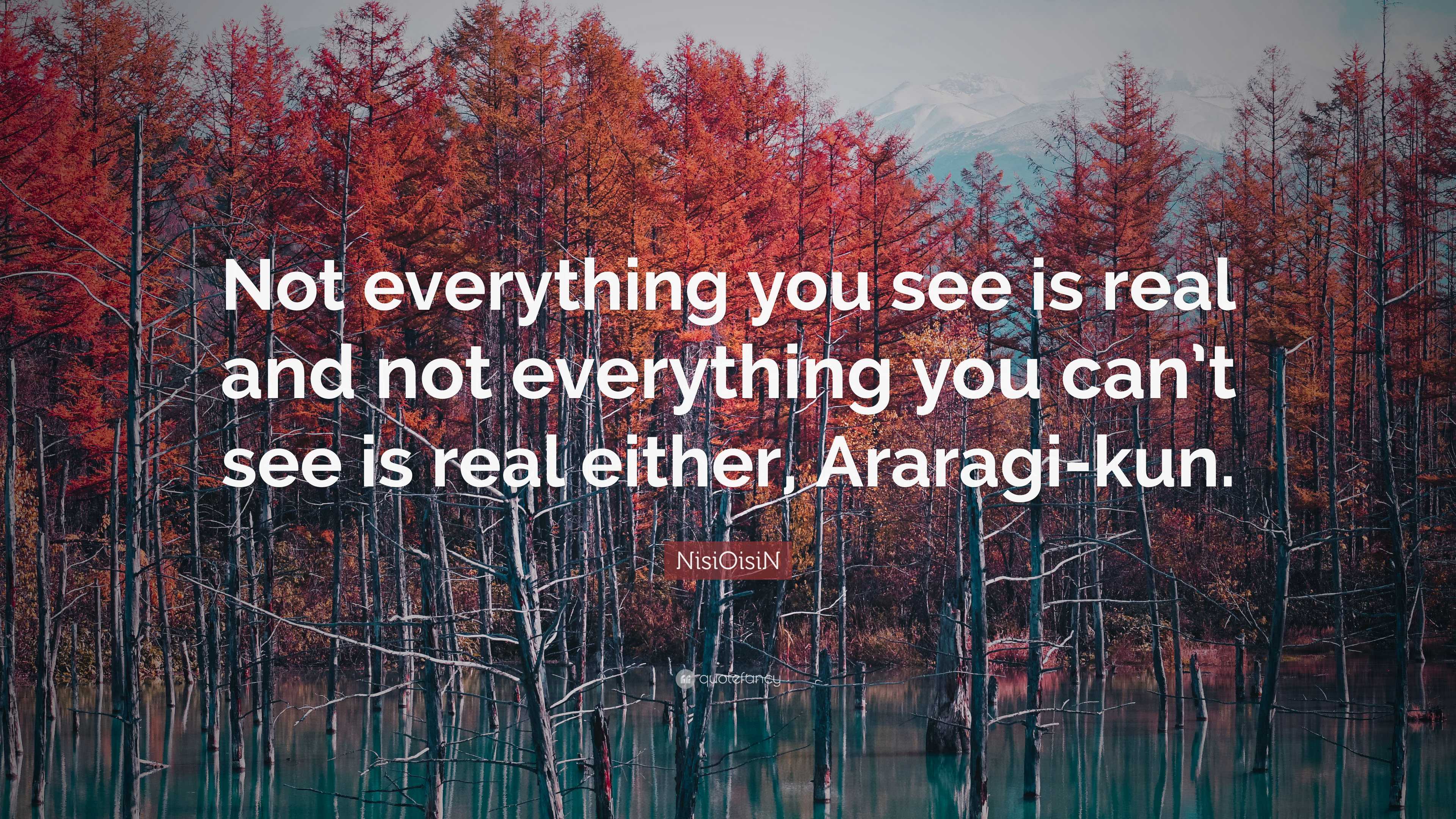 NisiOisiN Quote: “Not everything you see is real and not everything you ...