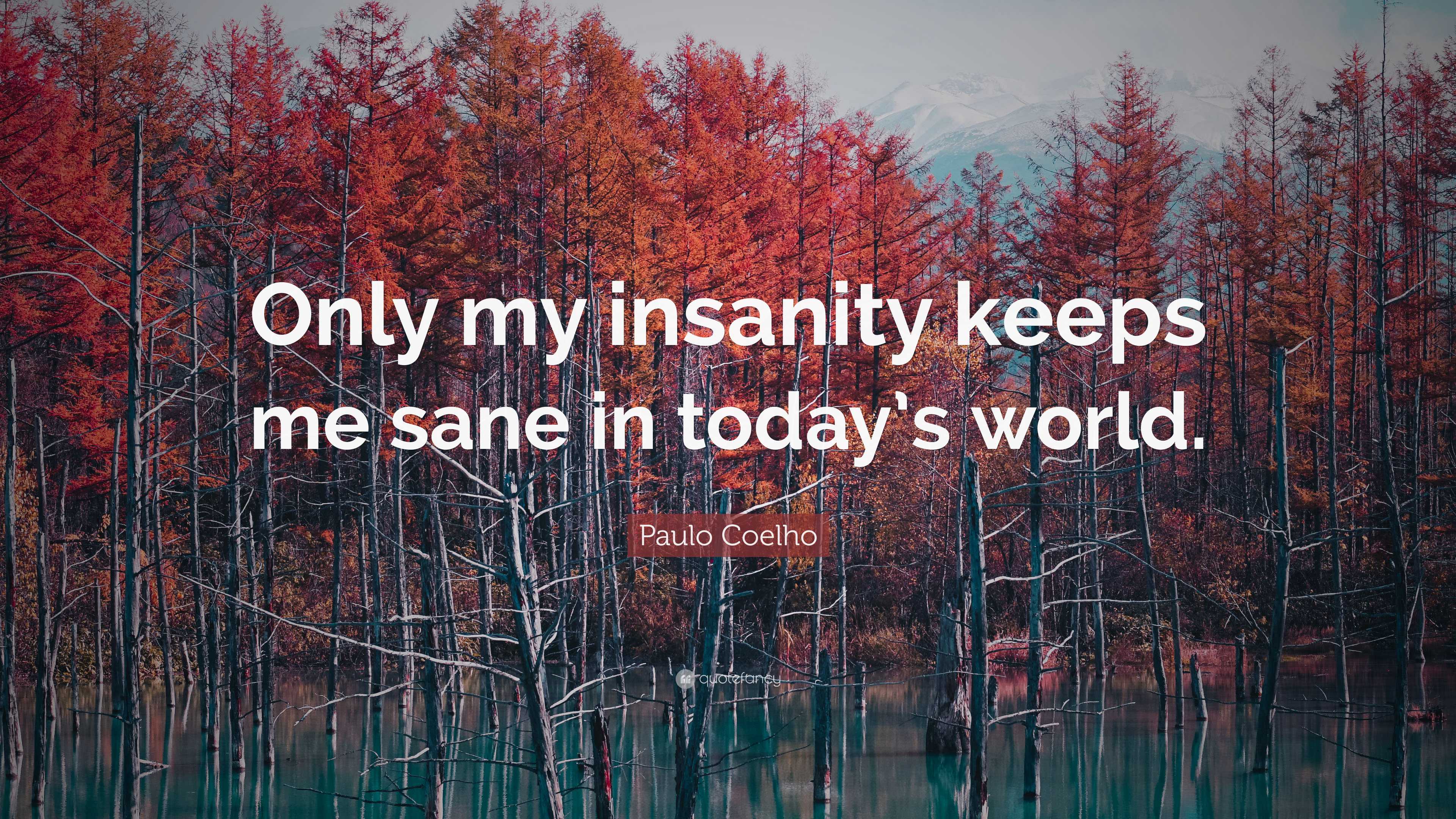 Paulo Coelho Quote: “Only my insanity keeps me sane in today’s world.”