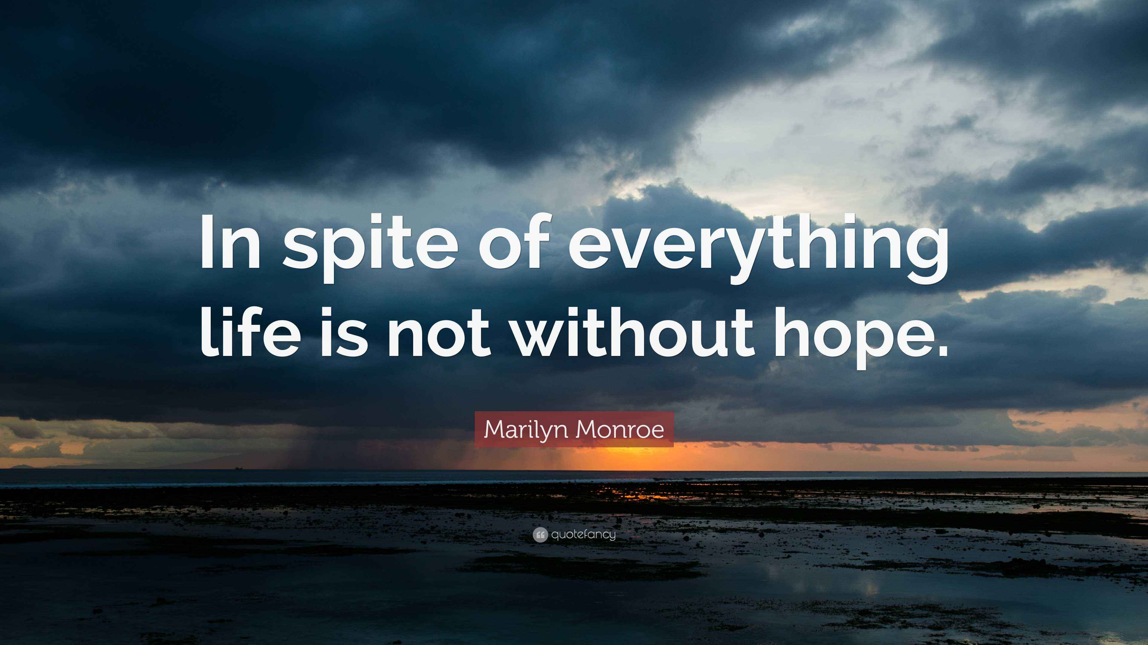 Marilyn Monroe Quote: “In spite of everything life is not without hope.”