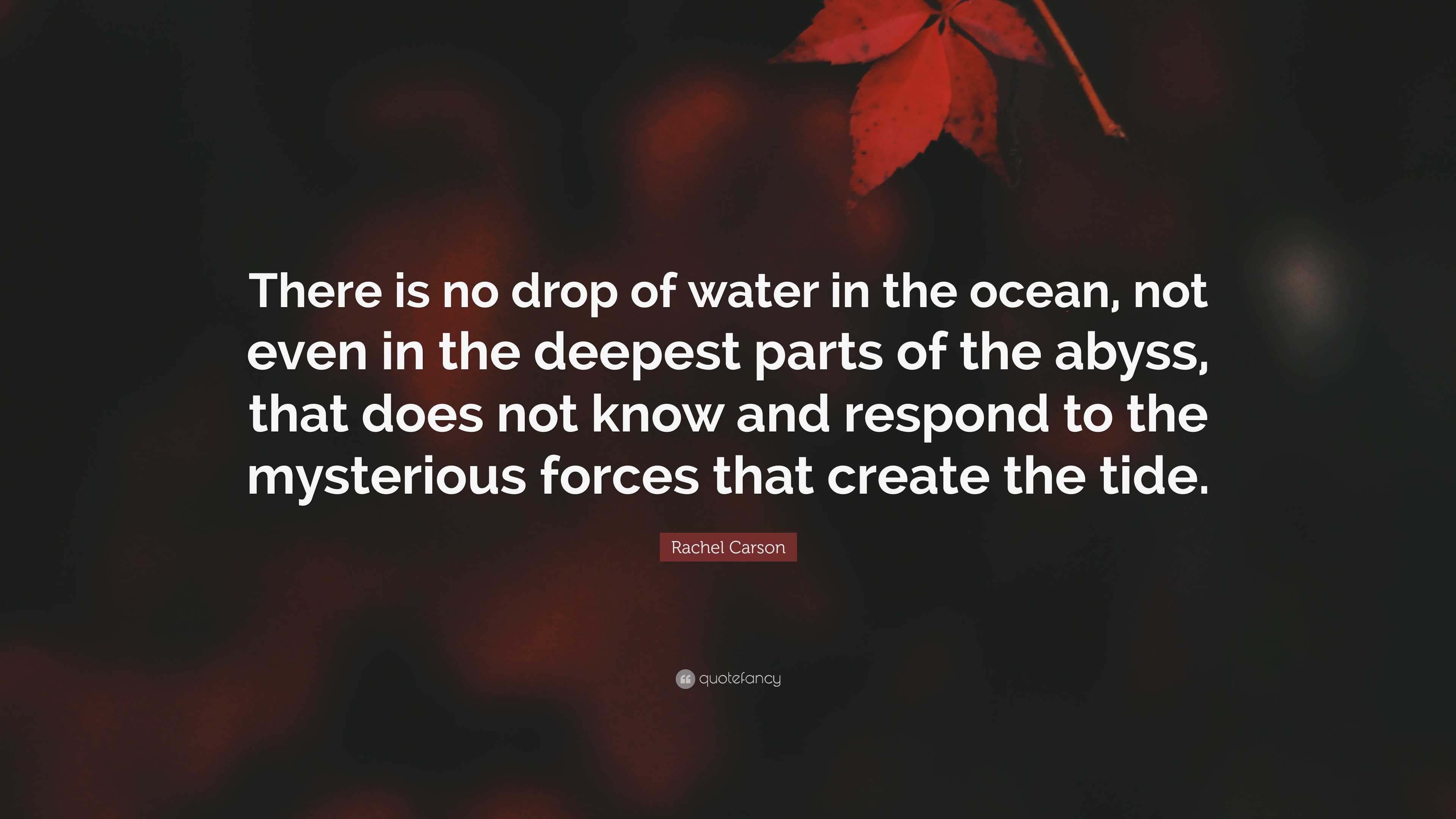 Rachel Carson Quote: “There is no drop of water in the ocean, not even ...