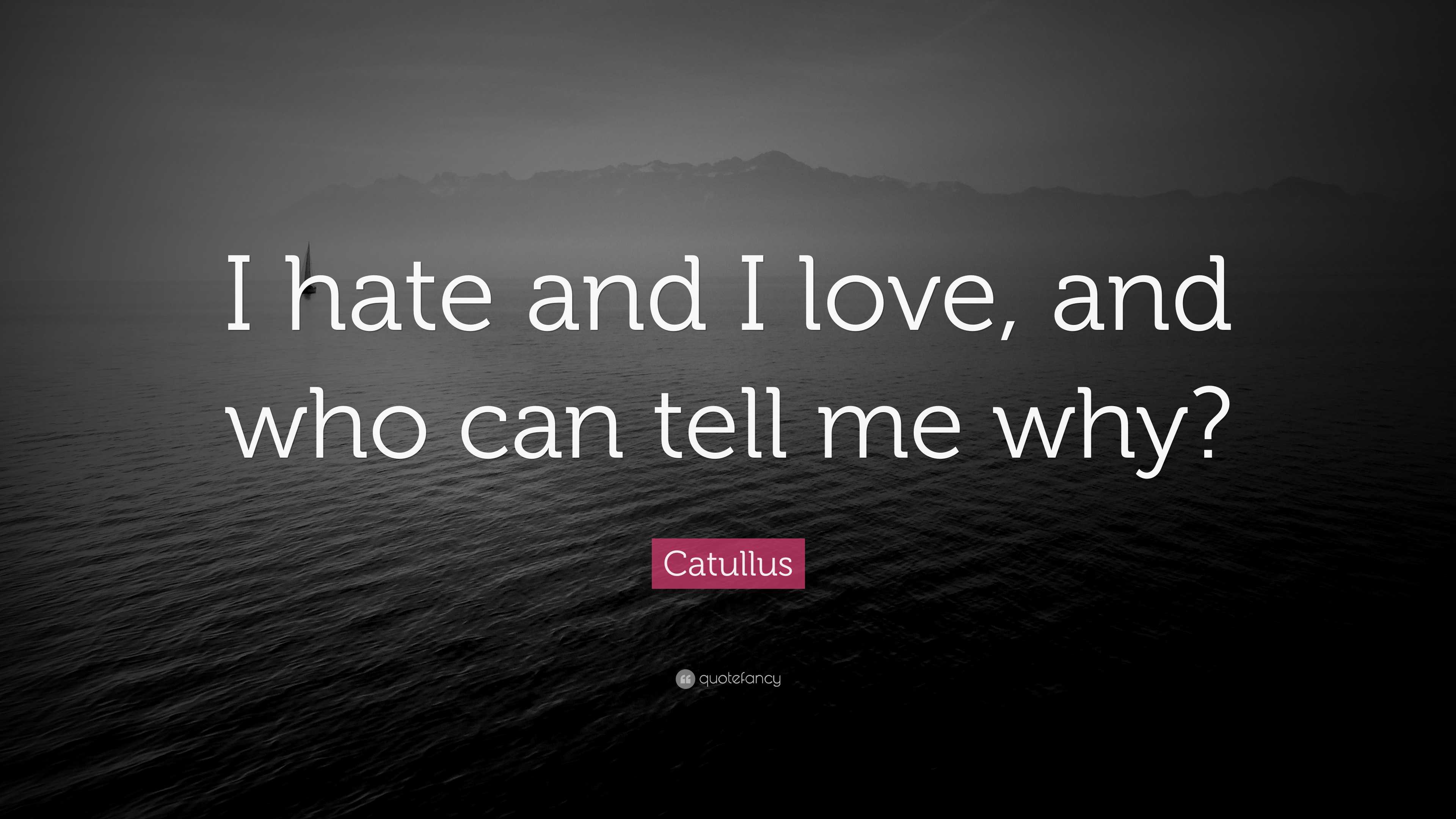Hate Love Wallpapers With Quotes