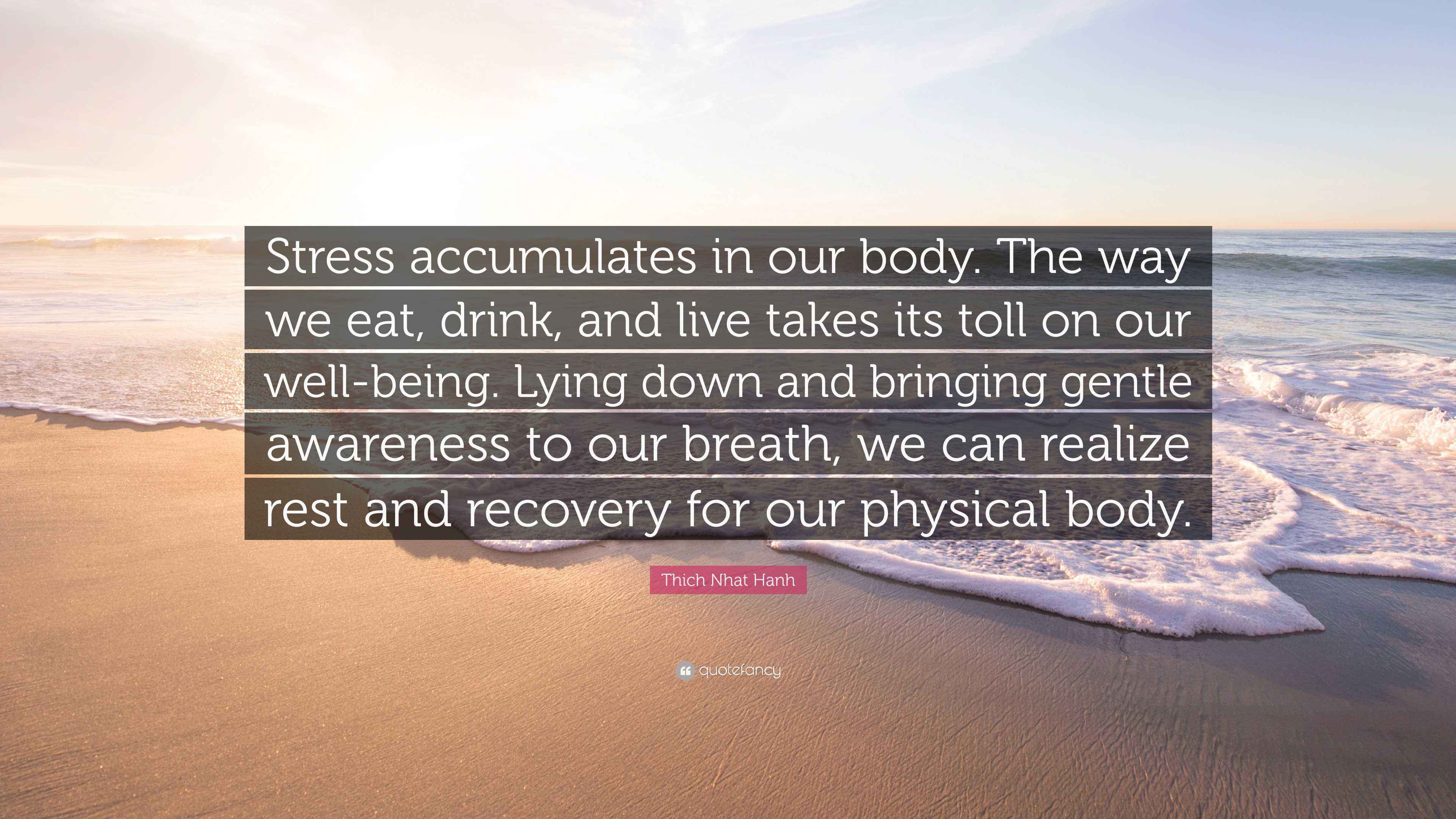 Thich Nhat Hanh Quote: “Stress accumulates in our body. The way we eat ...