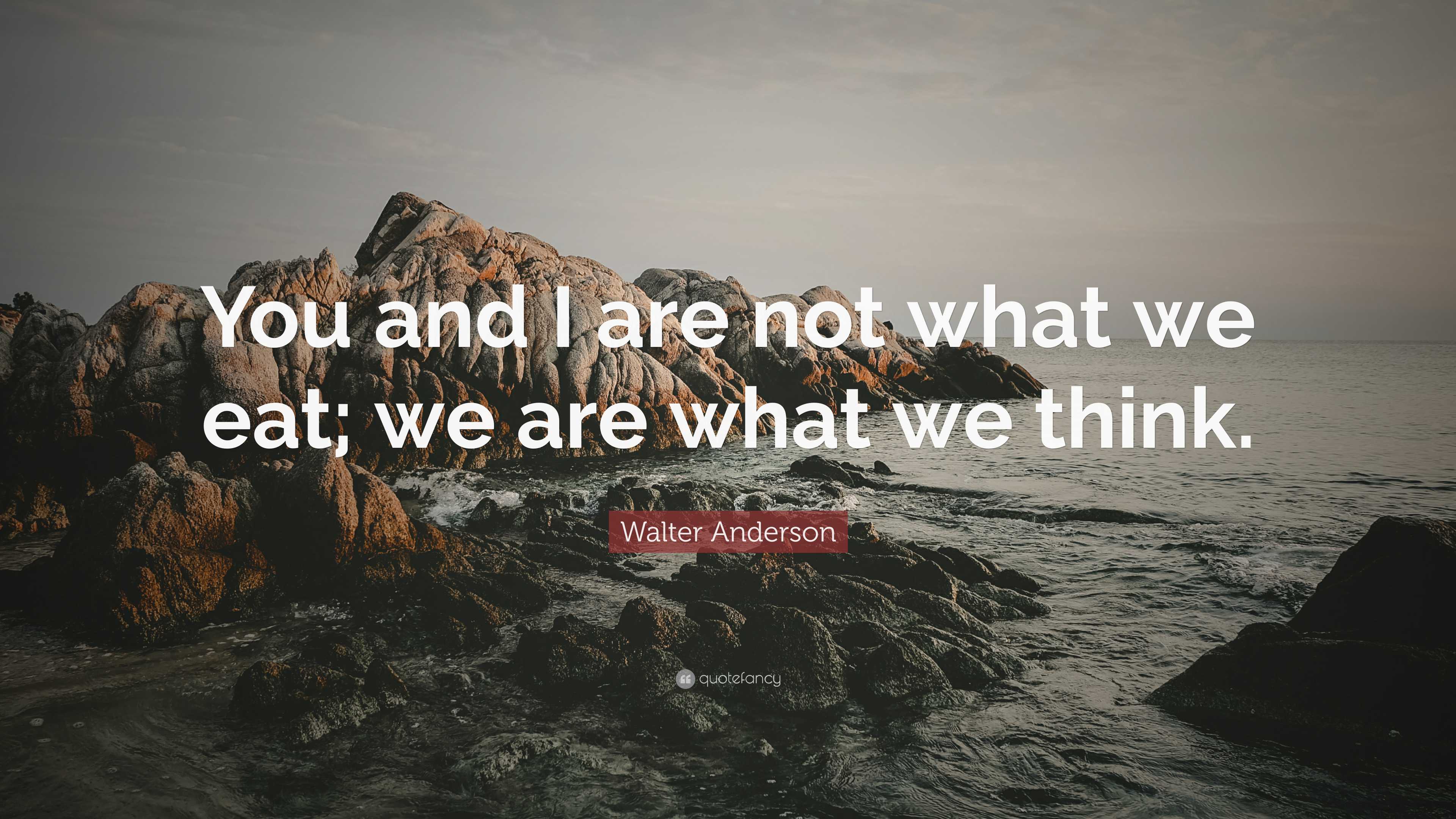 Walter Anderson Quote: “You and I are not what we eat; we are what we ...