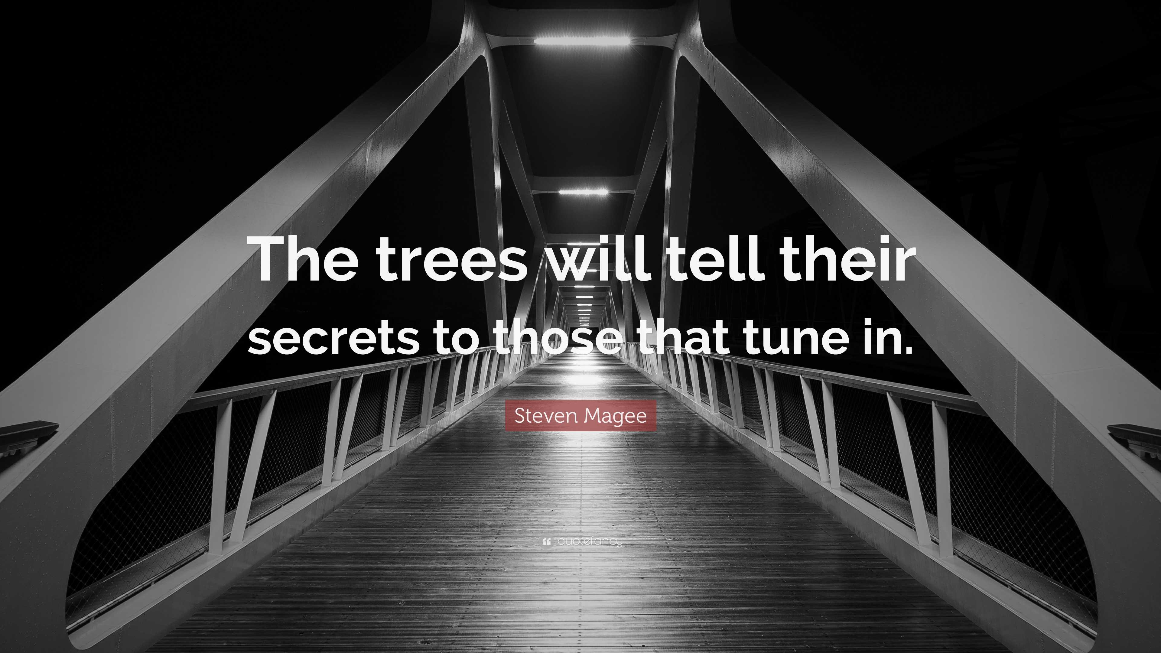 Steven Magee Quote: “The trees will tell their secrets to those that ...