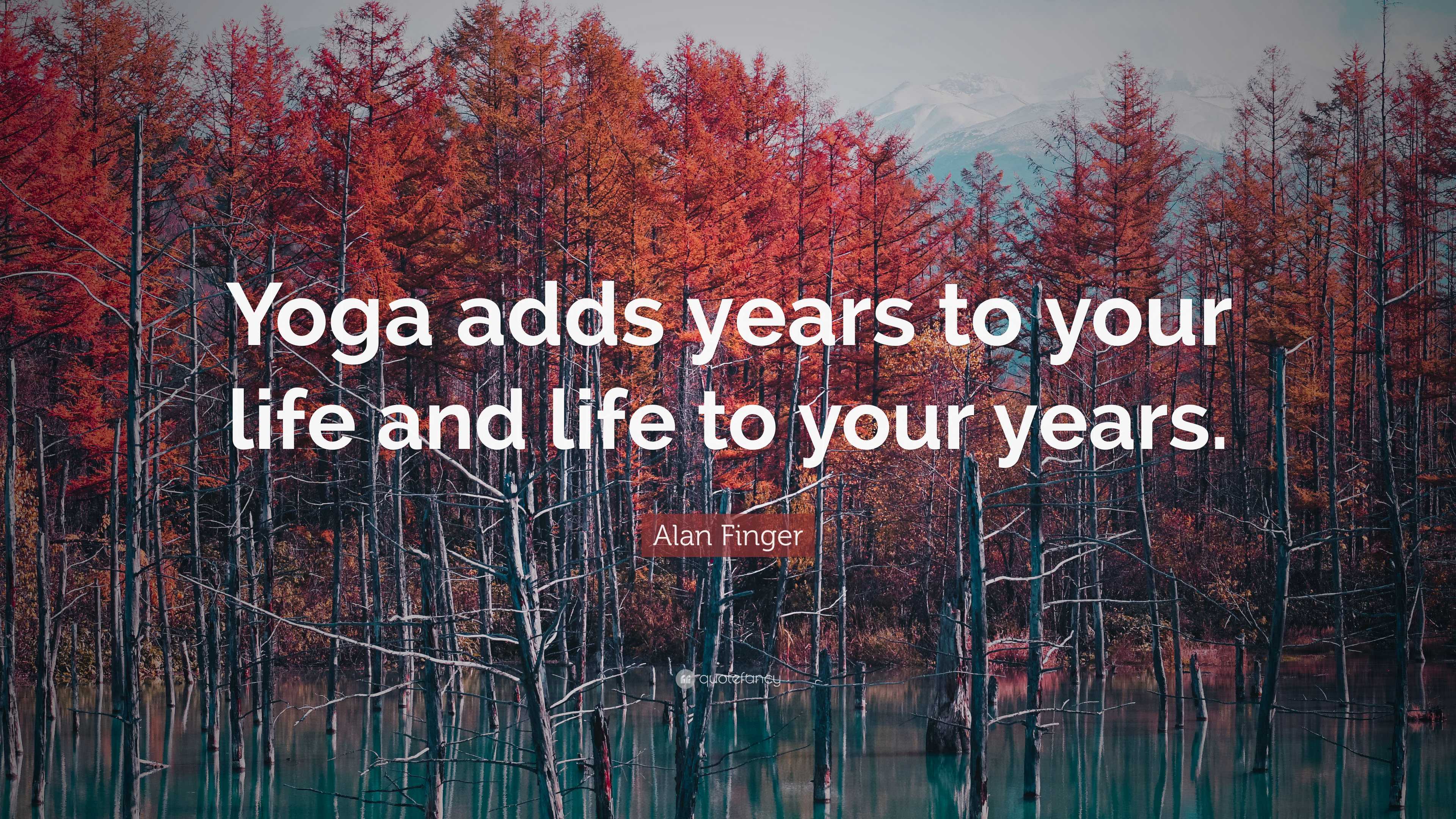 Alan Finger Quote: “Yoga adds years to your life and life to your years.”